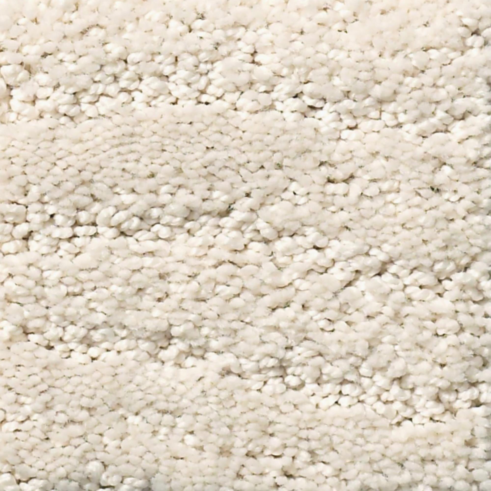 Anderson Tuftex Matisse Carpet in Almond Silk