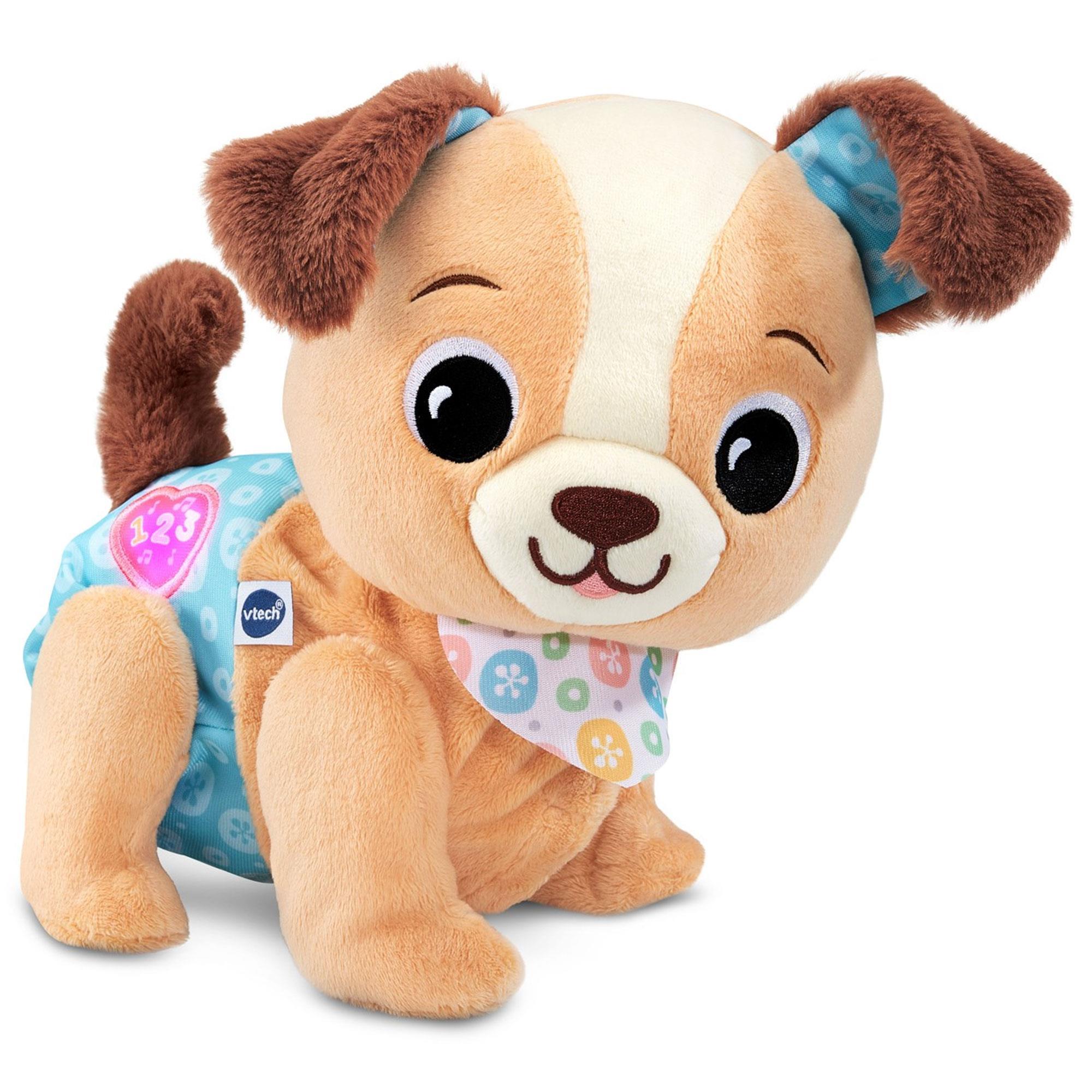 Vtech Baby Explore and Move with Puppy Plush