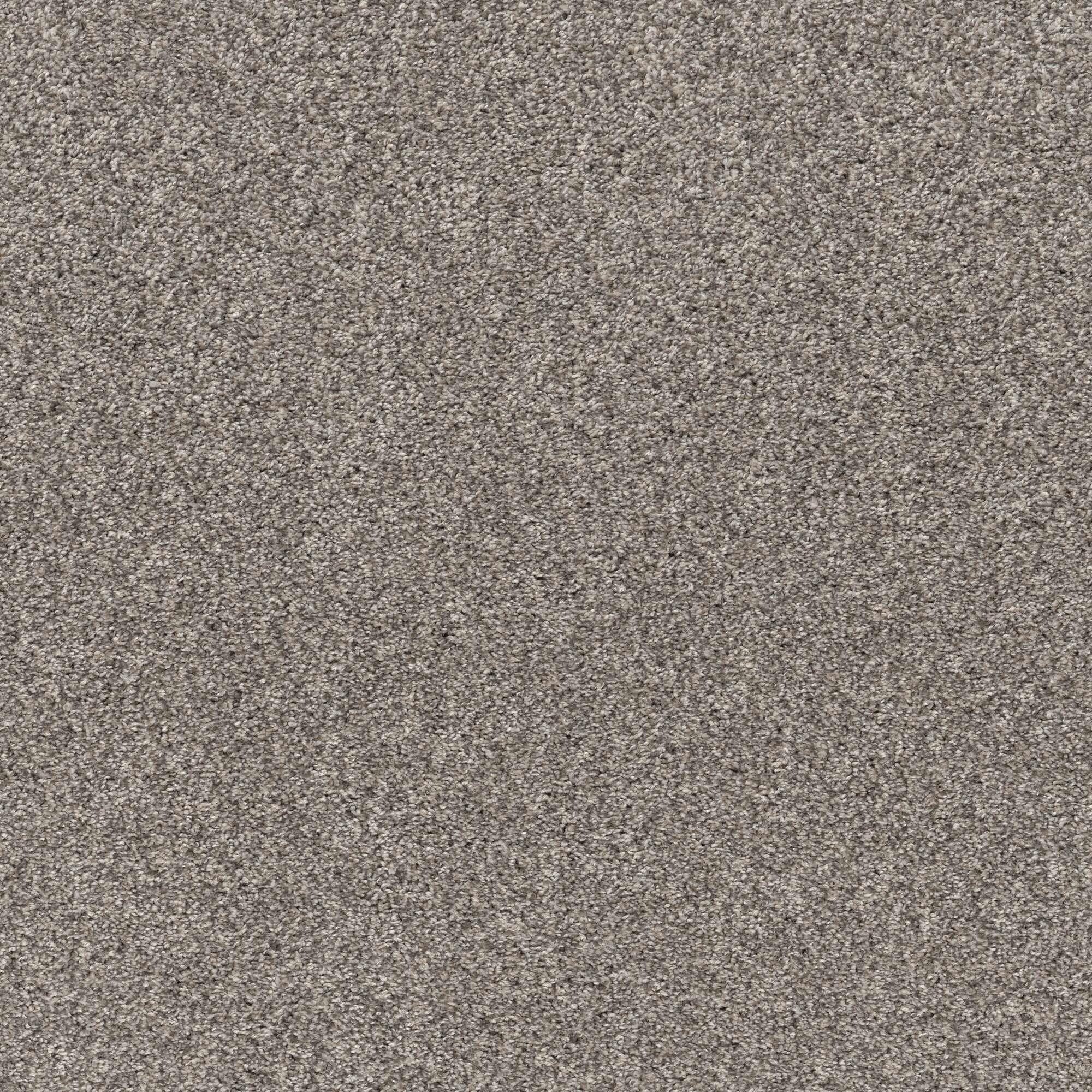 Shaw Calm Simplicity I Carpet in Kidskin | Shop NFM
