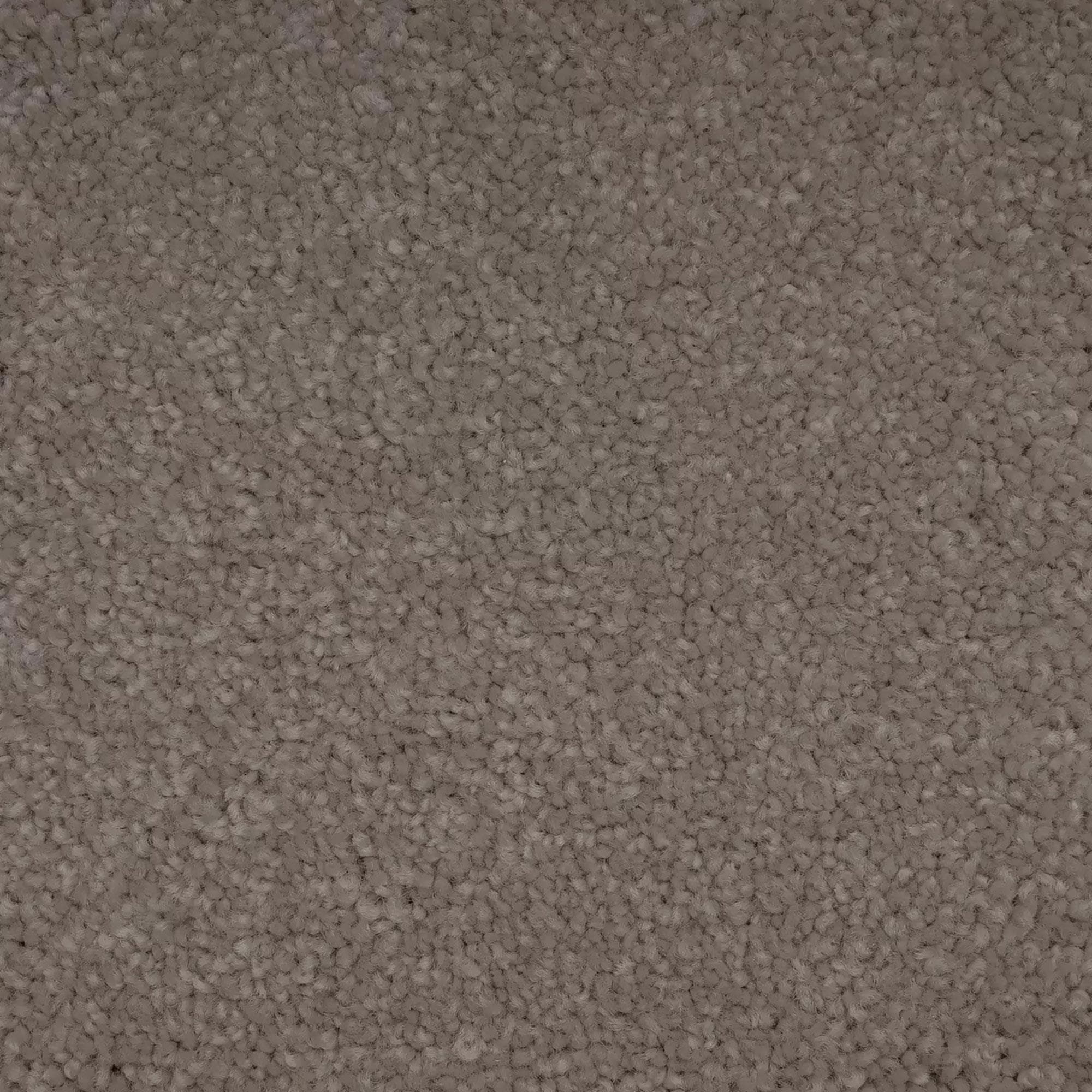 Mohawk Blended Moments Carpet in Bliss | Shop NFM