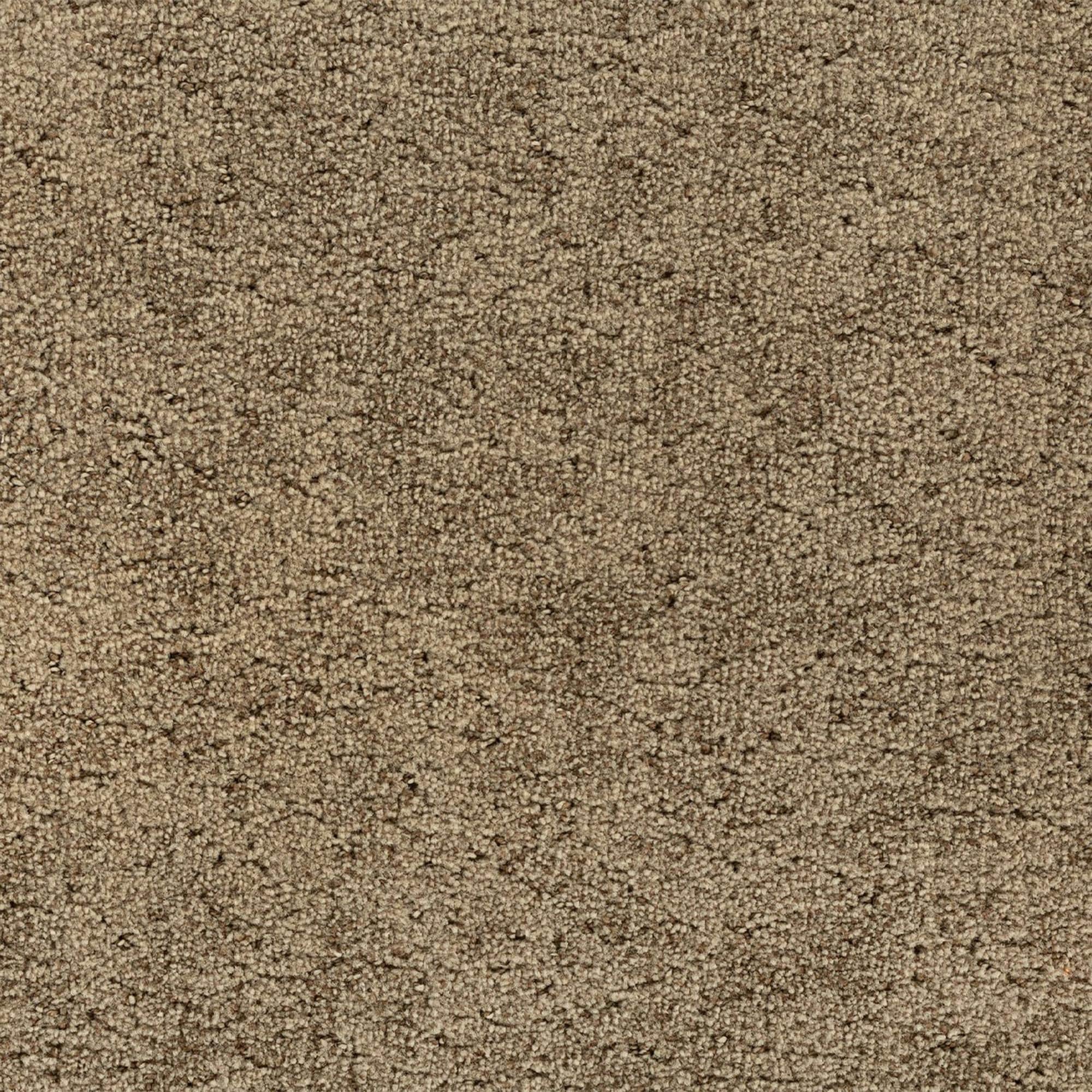 Godfrey-Hirst Inspiring Selection Carpet in Crushed Shells