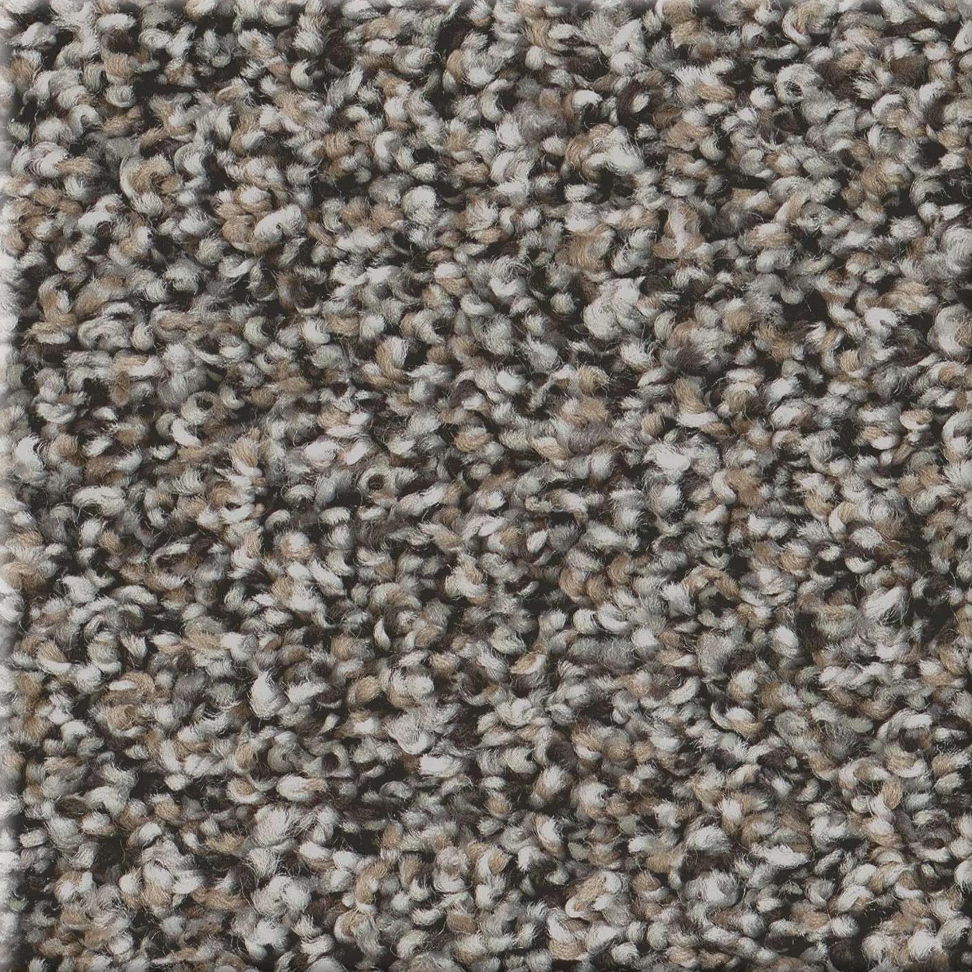 Shaw Renewed Energy II Carpet in Shadow