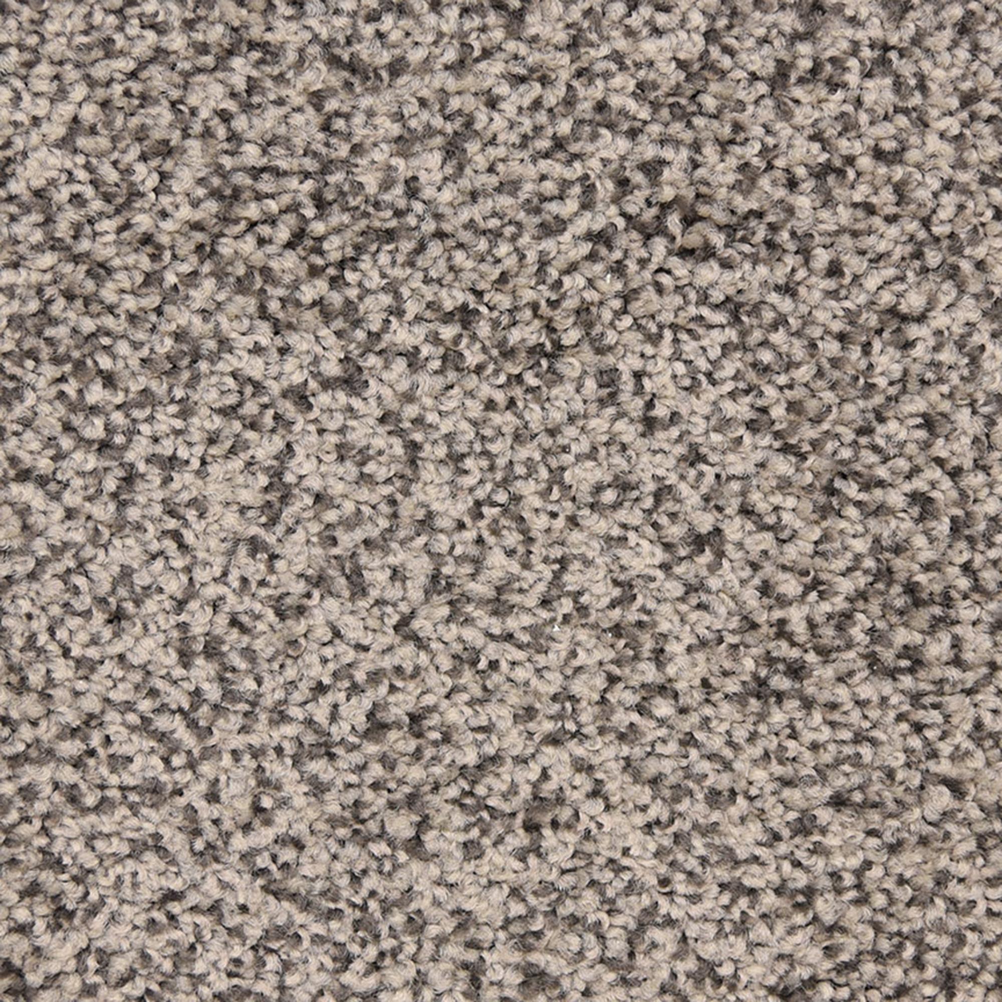 Dixie Home Debut Carpet in Black Sand