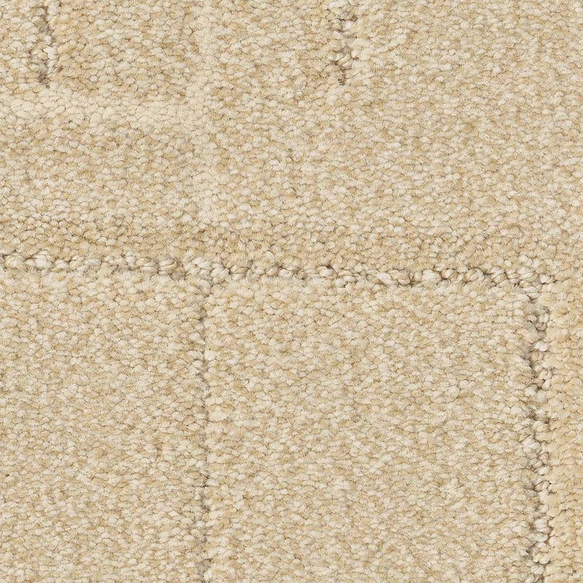 Anderson Tuftex Path Carpet in Warm Light | NFM