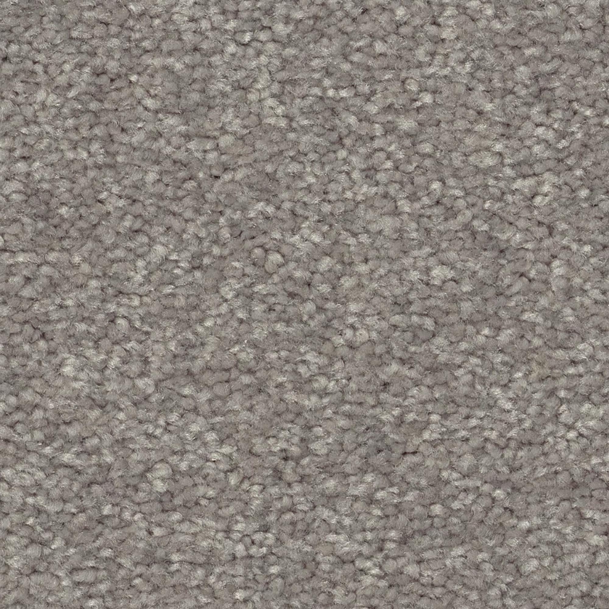 Shaw Easy Spirit III 12' Carpet in Dusty Trail