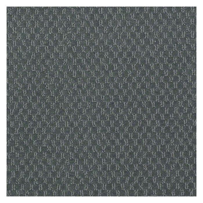 Shaw Latest Trend Carpet in Willow Hedge