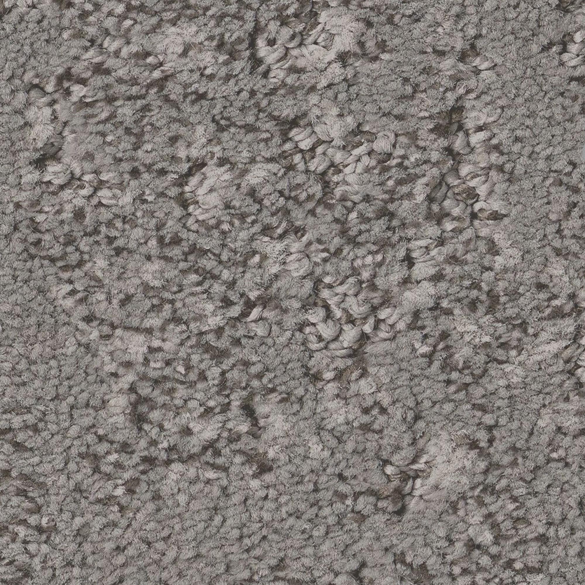 Anderson Tuftex Fancy That Carpet in Eclipse