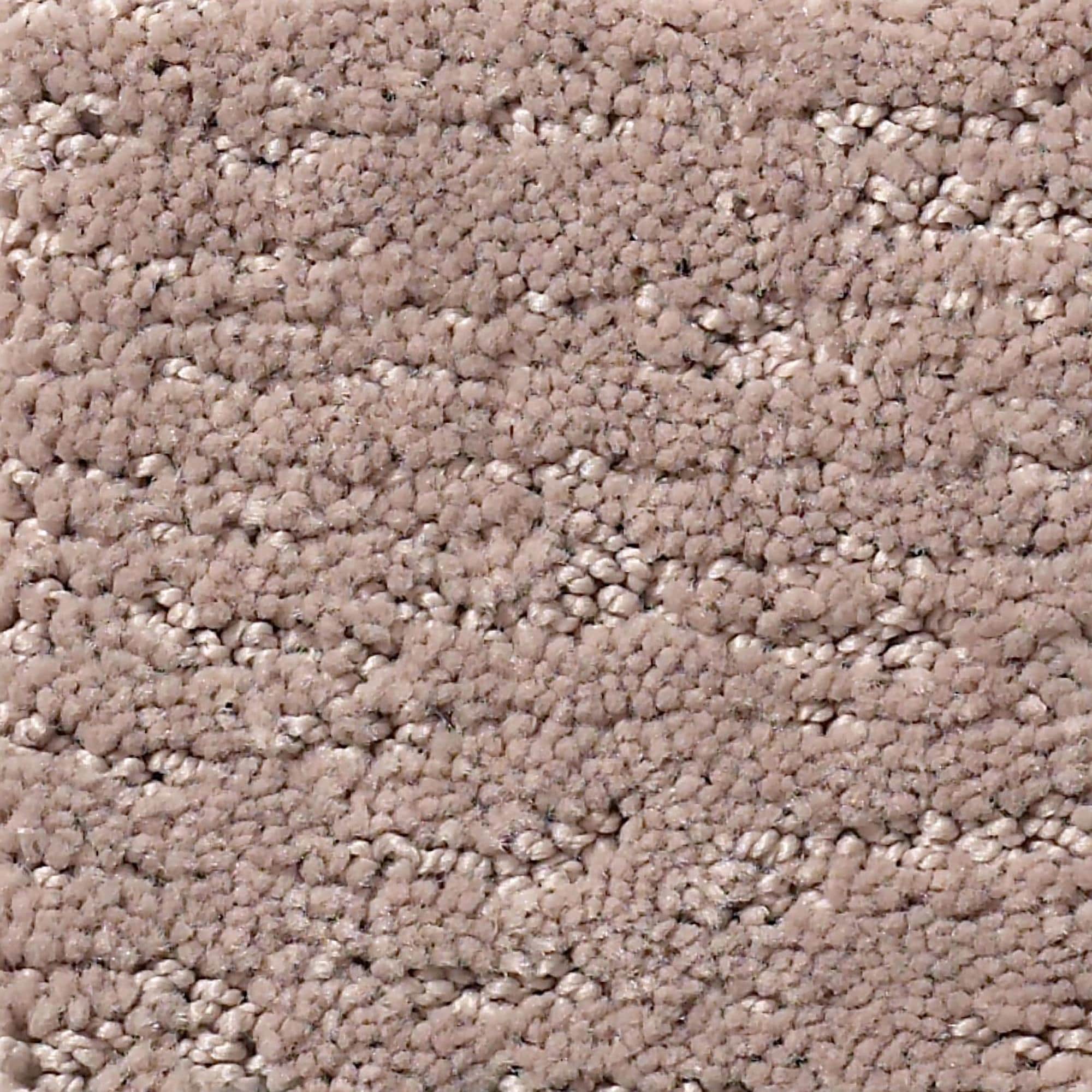 Anderson Tuftex Contour Carpet in Socialite