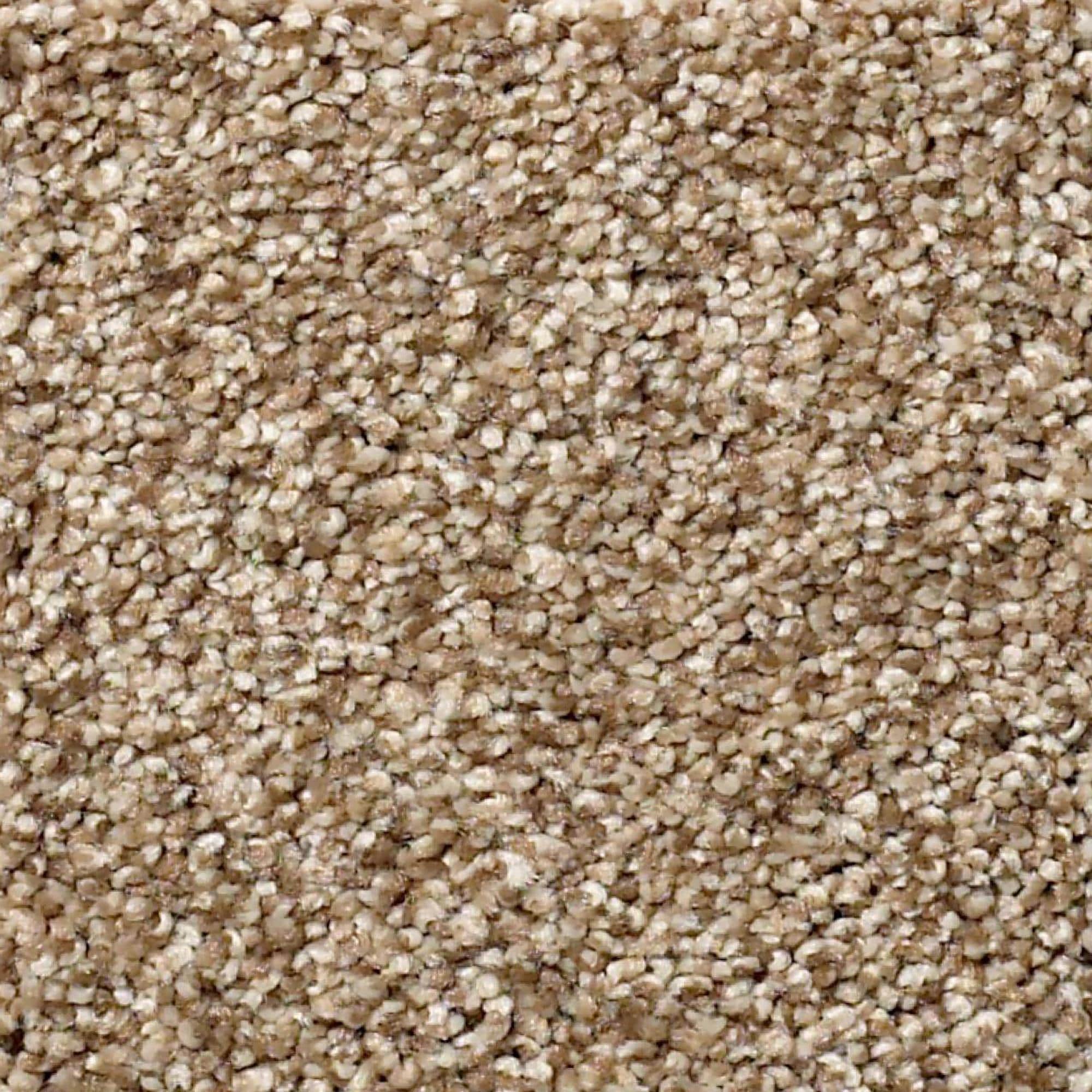 Shaw Tonal Comfort Blue Carpet in Falling Leaves