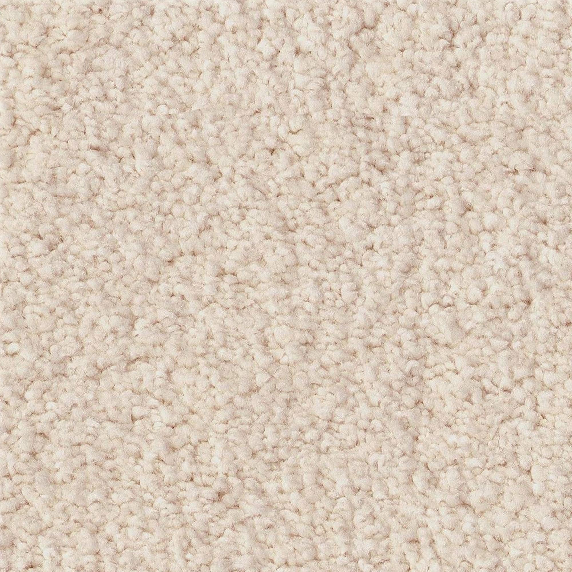 Anderson Tuftex Luxe Feel I Carpet in Divine
