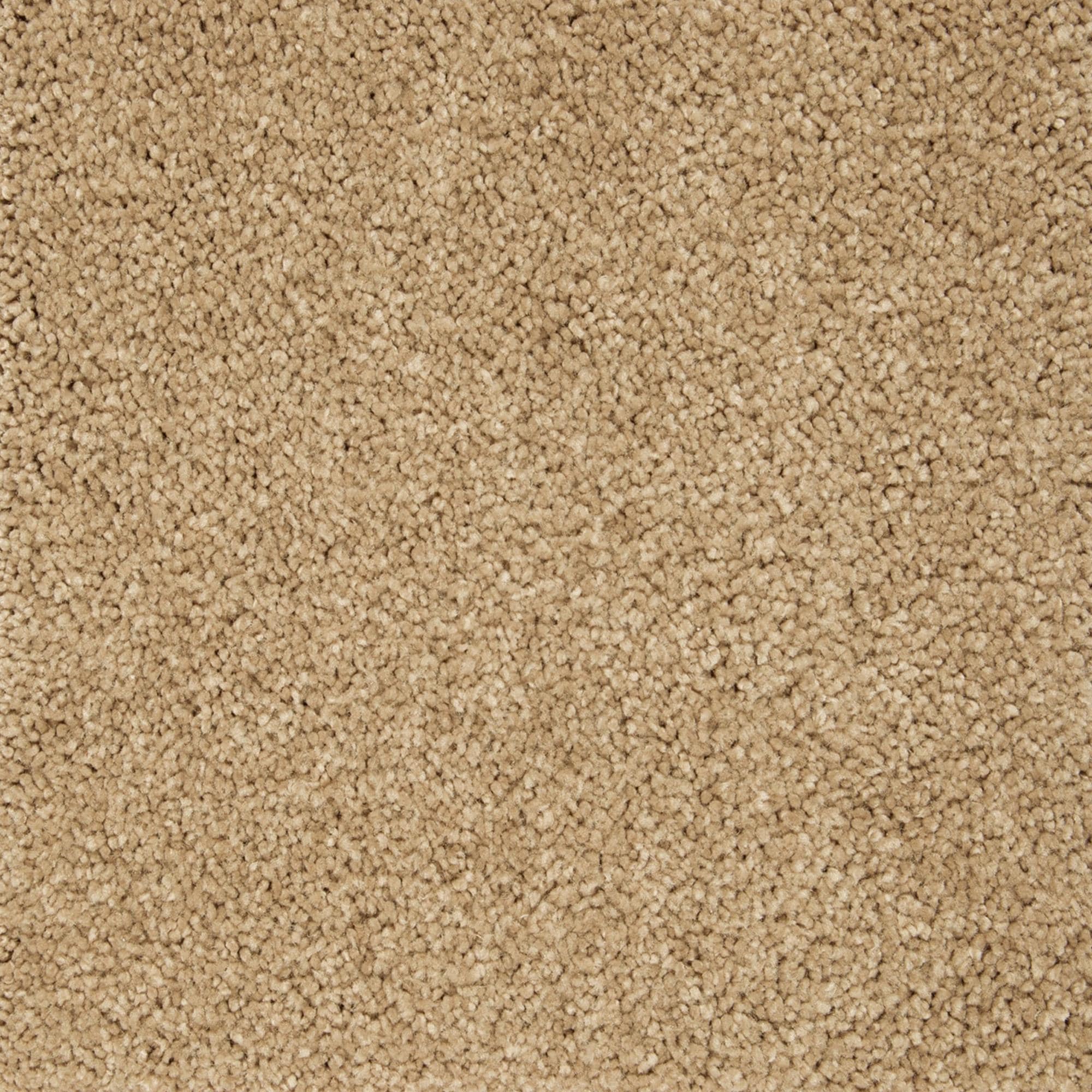 Mohawk Pleasant Touch Carpet in Canterbury