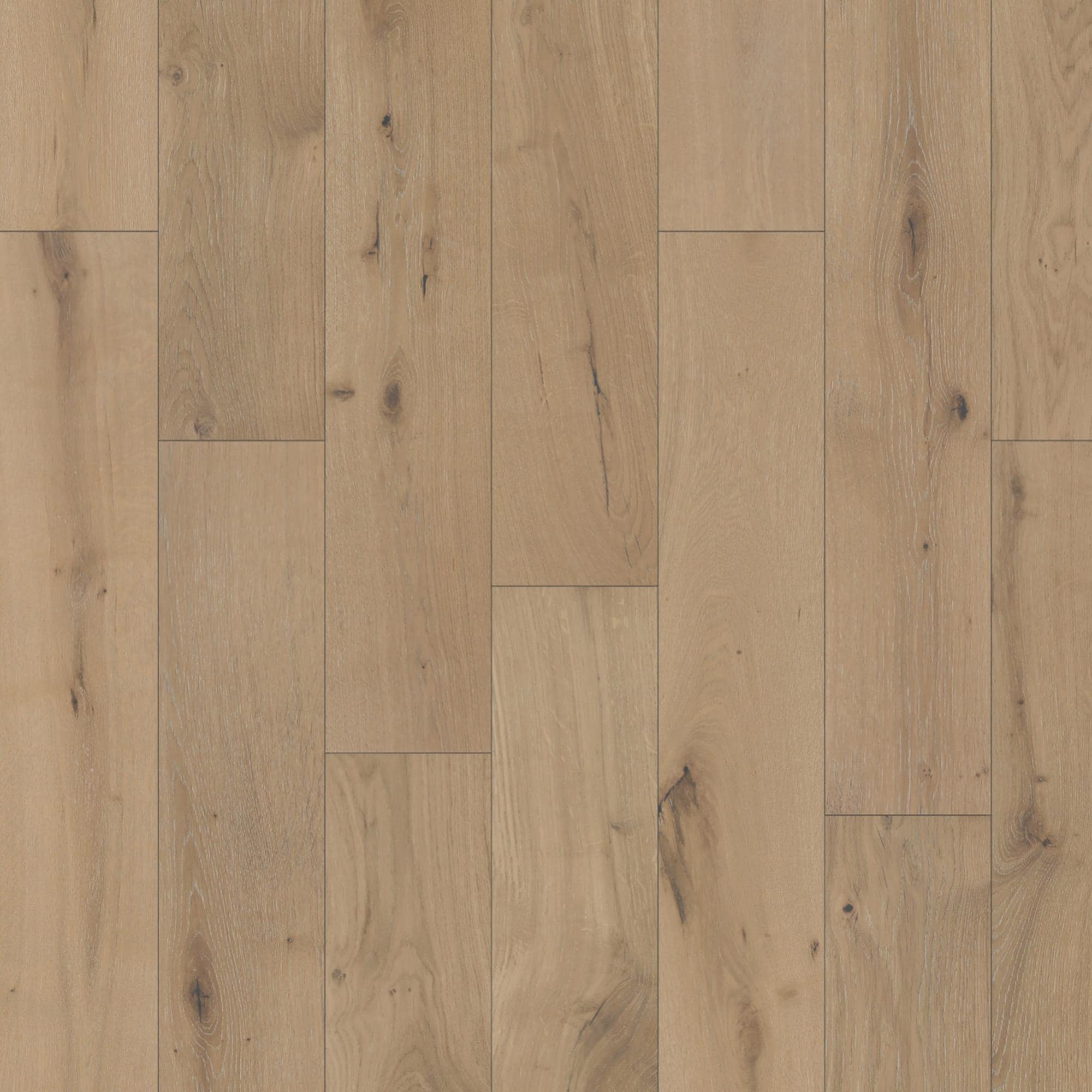 Create Flooring Enchanted European Glacier Oak Hardwood