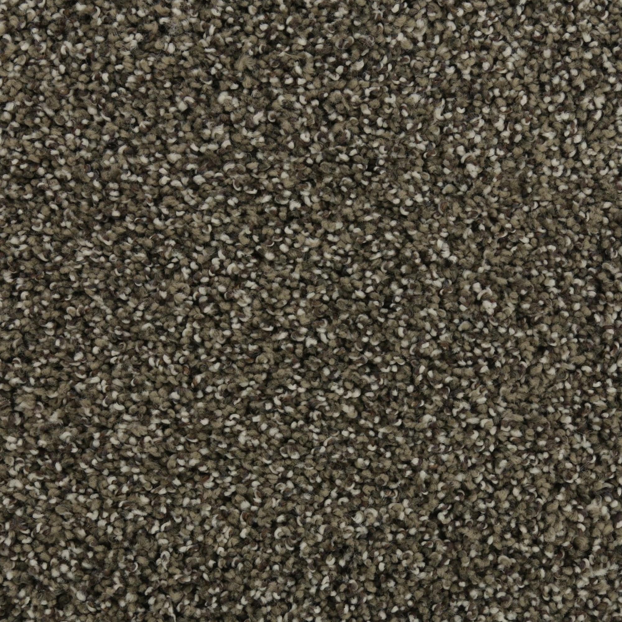 Mohawk Natural Opulence I Carpet in Taupe Delight