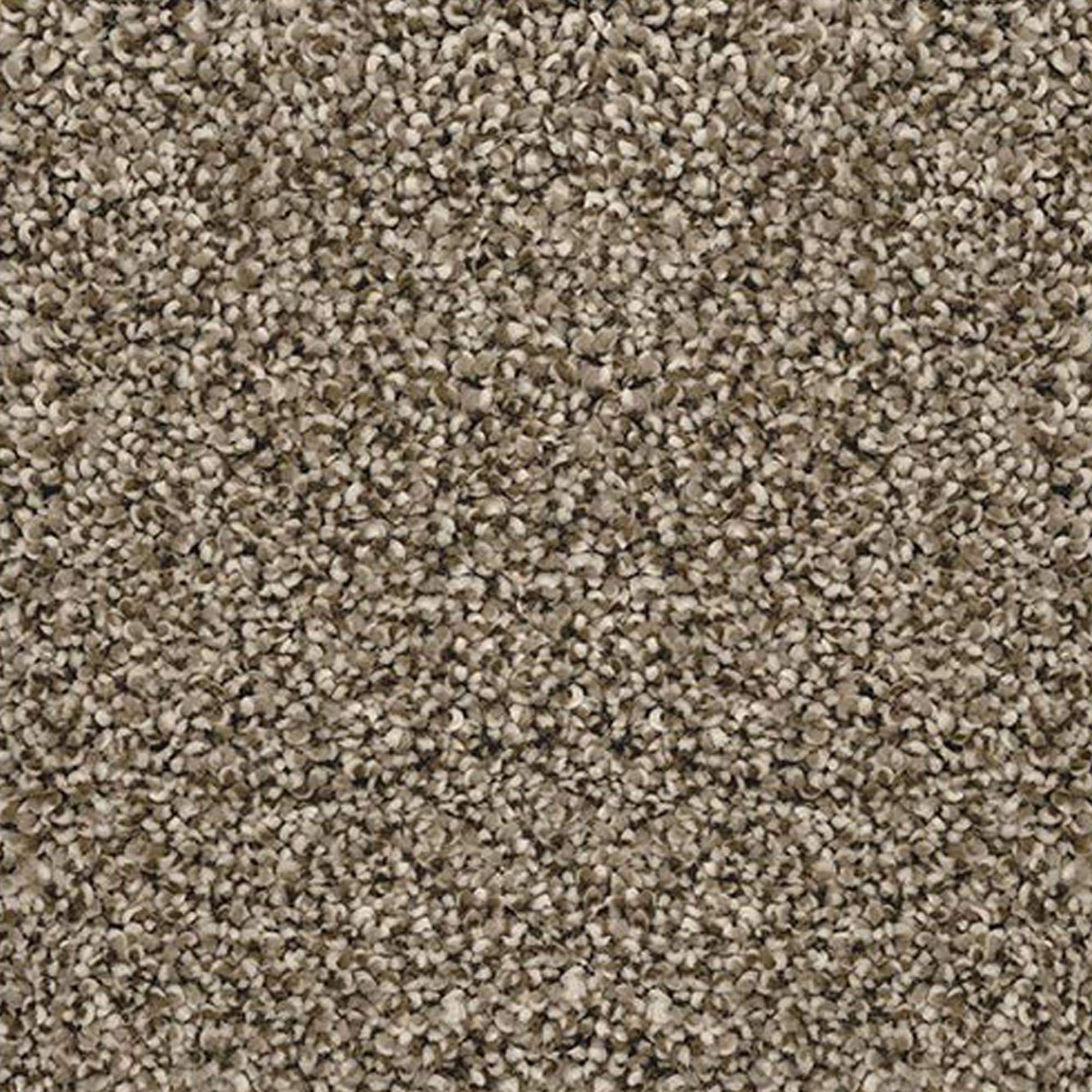Revolution Mills Milan Carpet in Mountain View