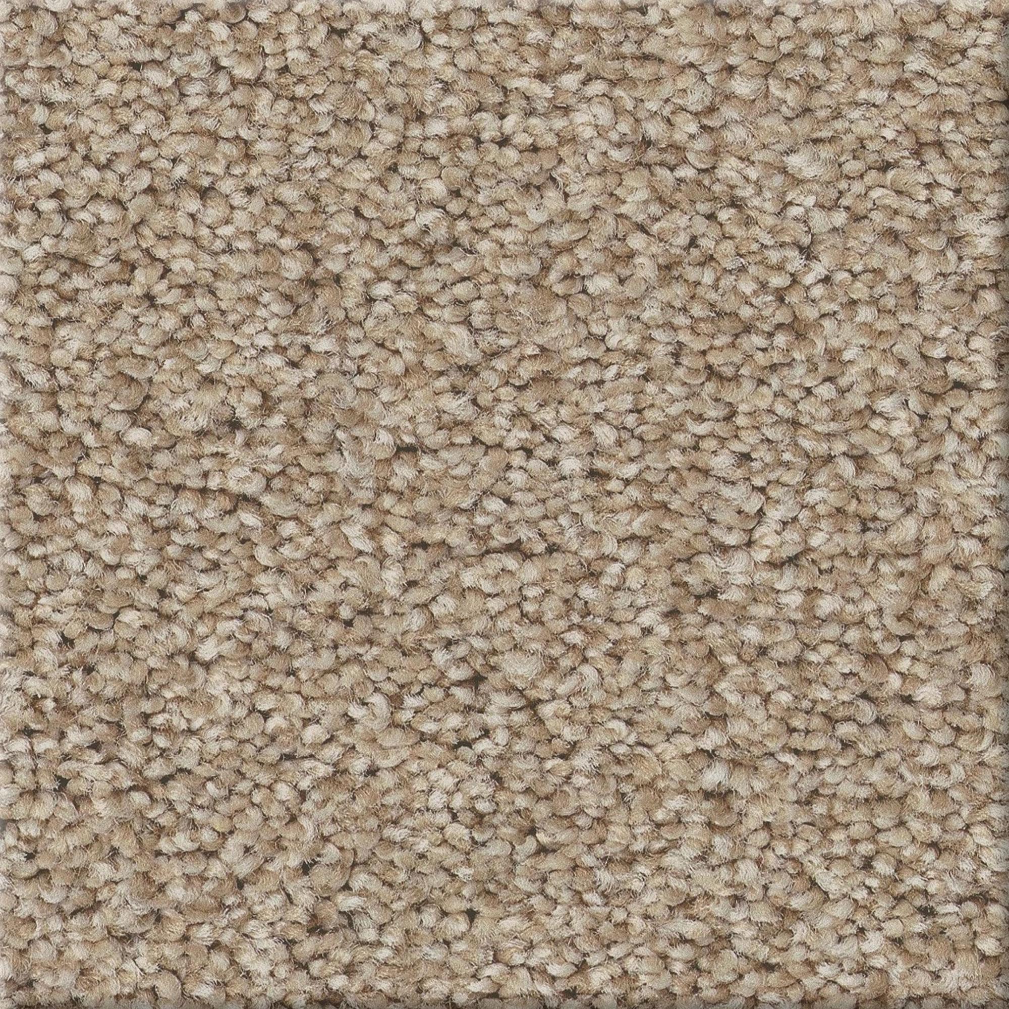 Shaw Comforting II Carpet in Picket Fence | NFM