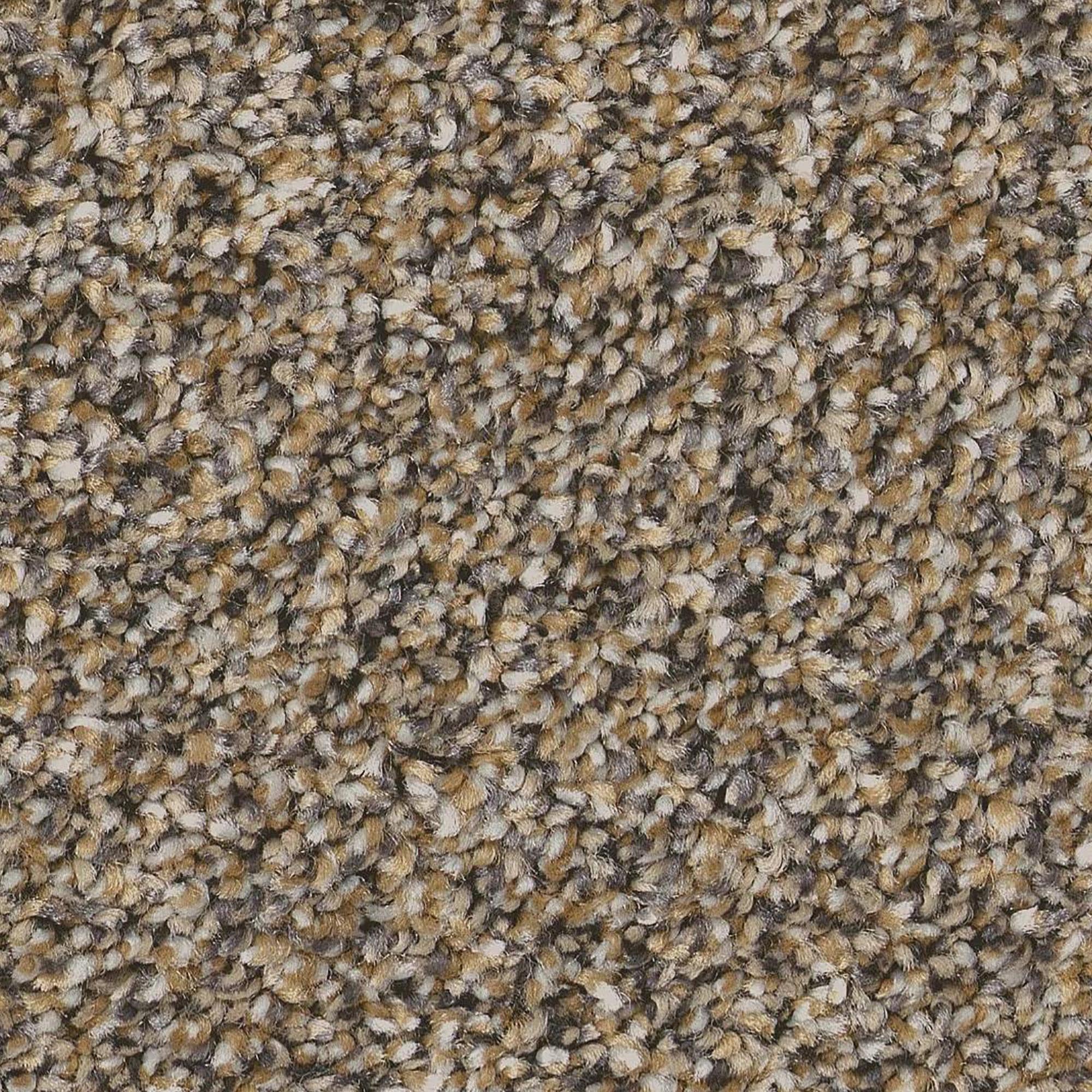 Anderson Tuftex Kaleidoscope Carpet in Shimmering