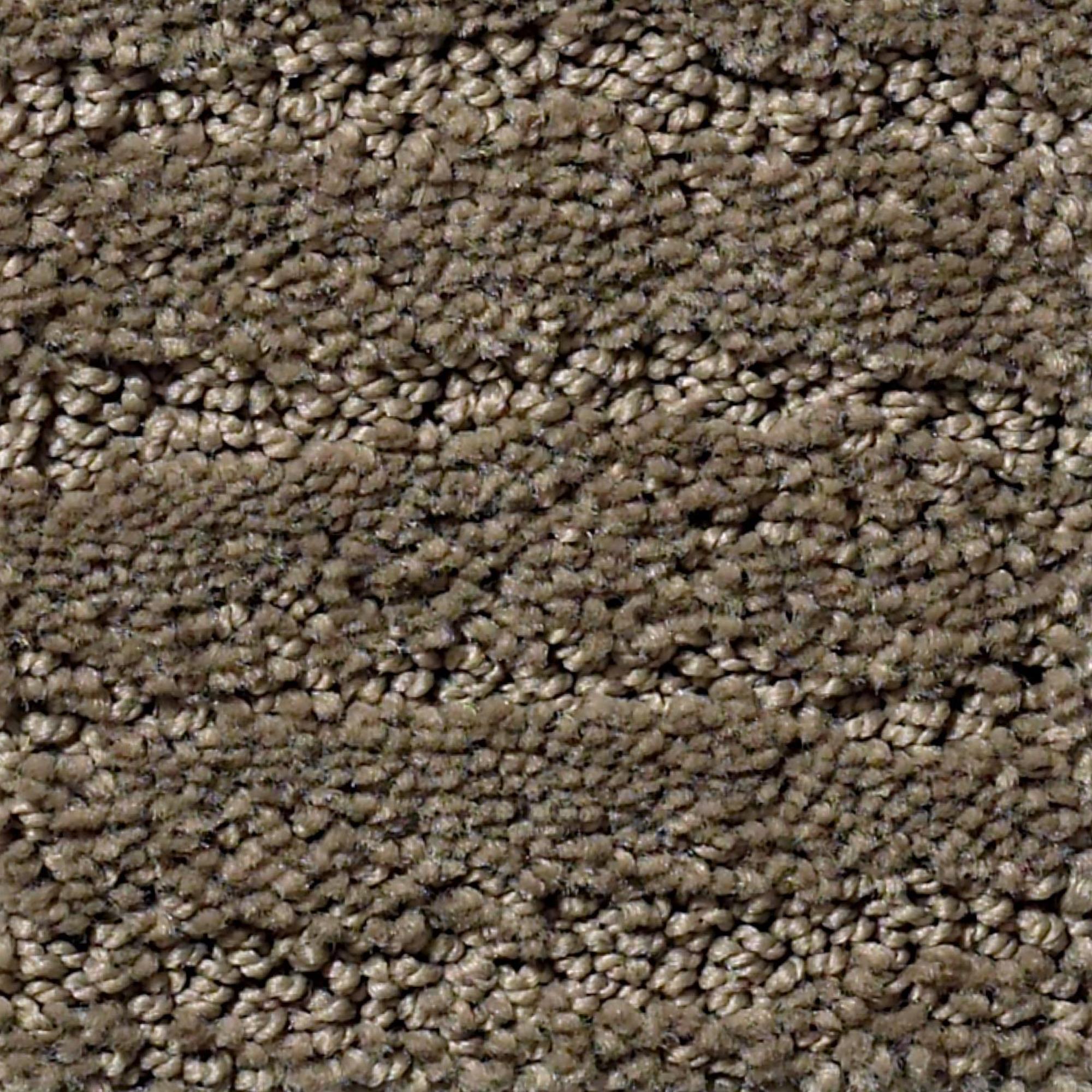 Anderson Tuftex Matisse Carpet in Dash