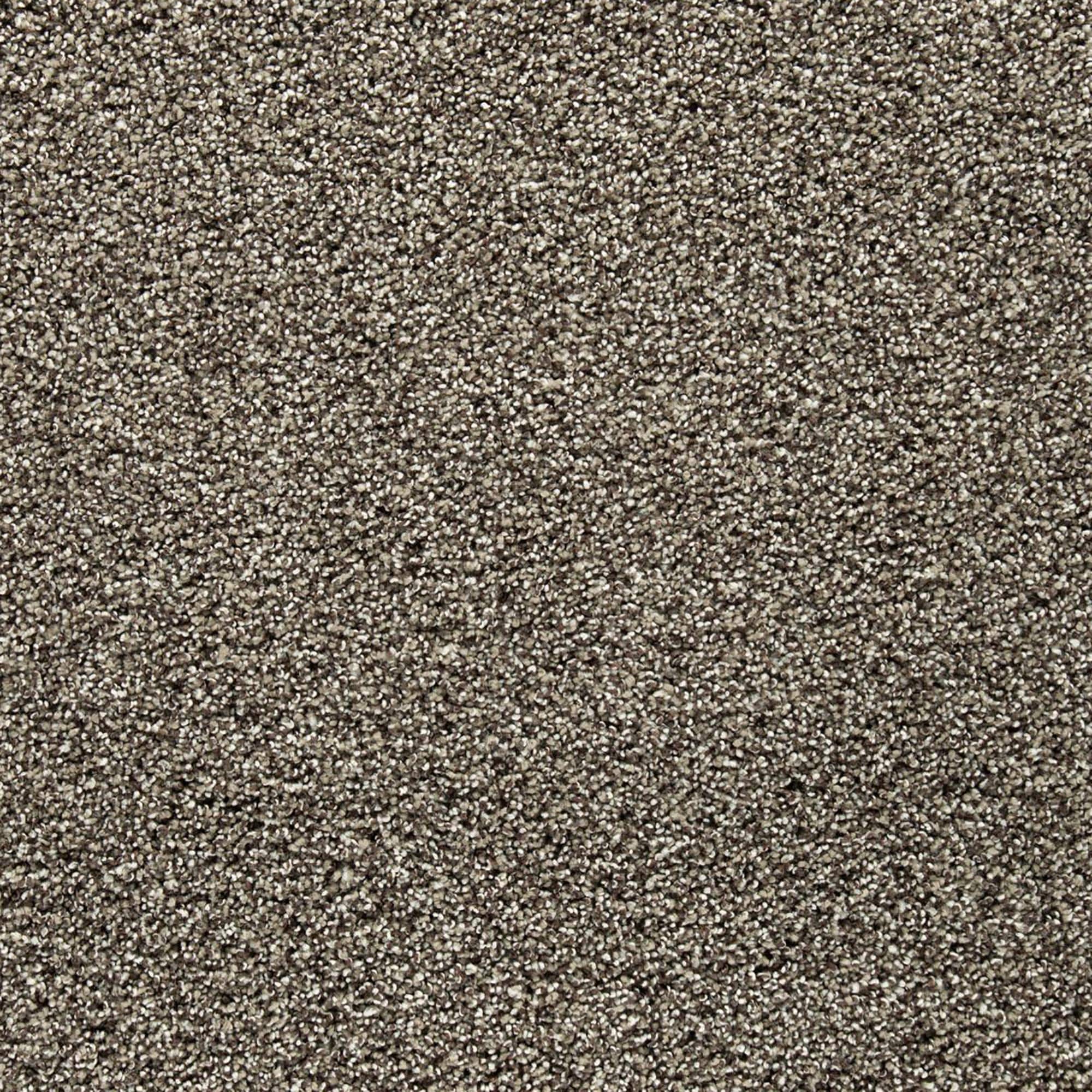 Mohawk Natural Statement II Carpet in Taupe Delight