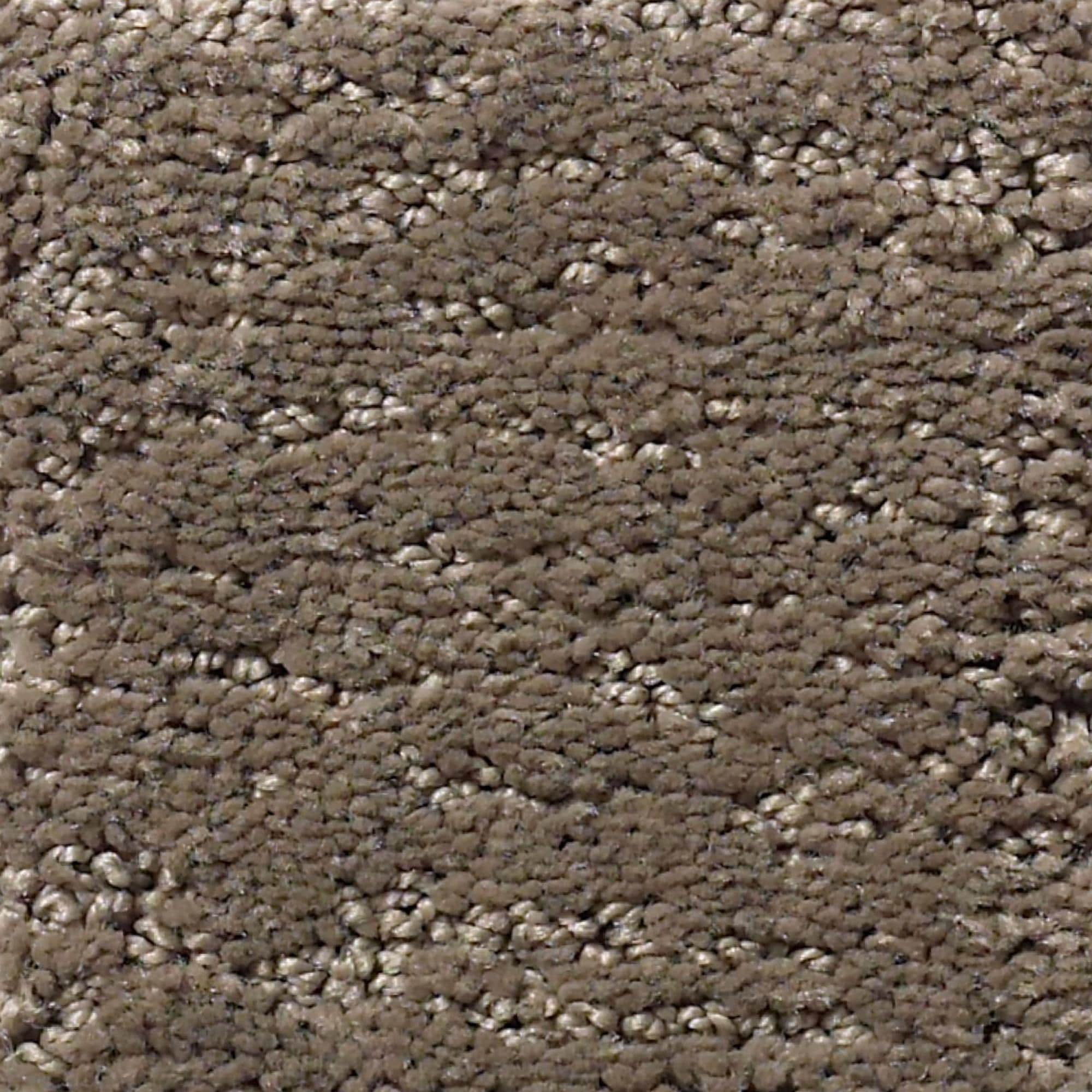 Anderson Tuftex Contour Carpet in Dash