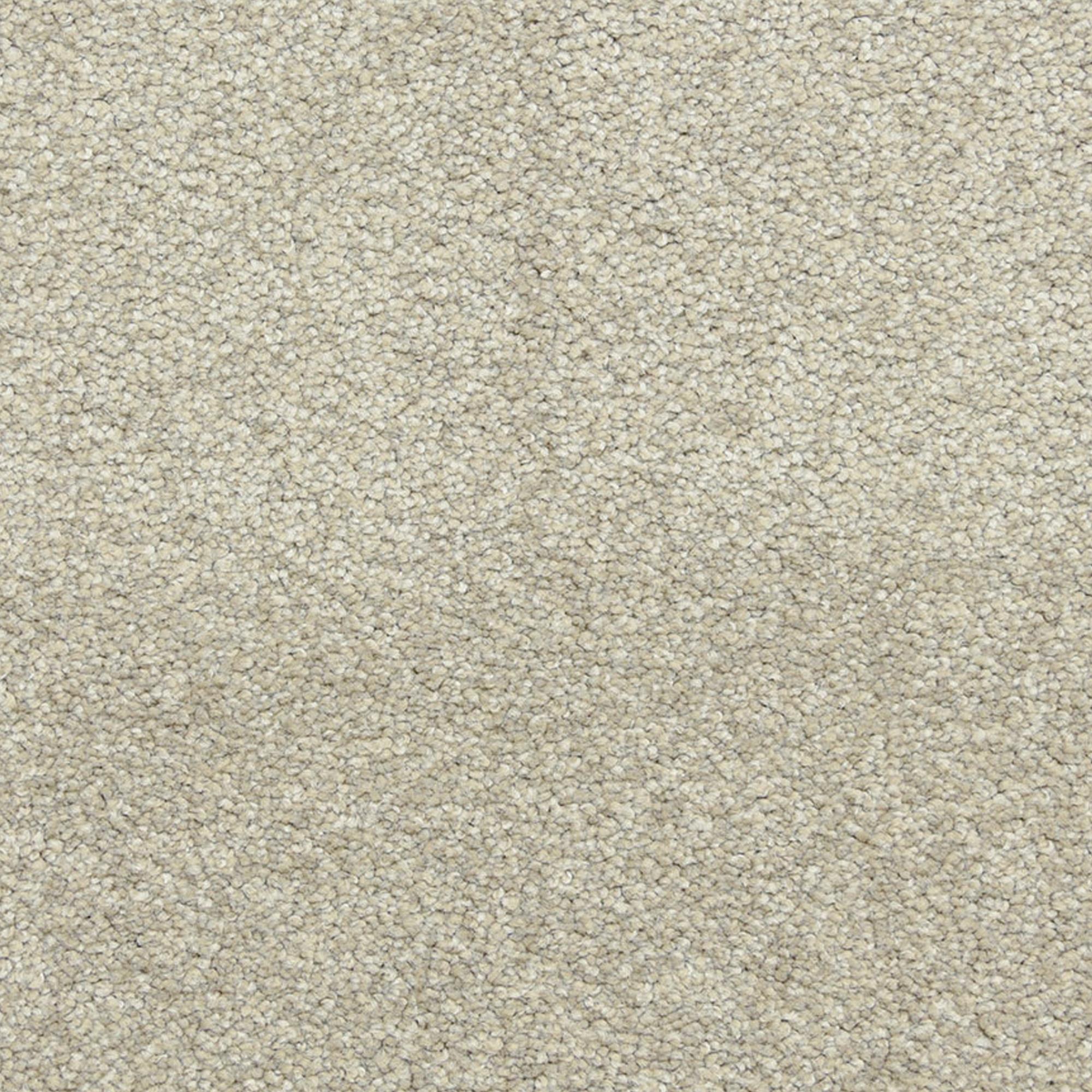 Dixie Home Simplicity Carpet in Driftwood