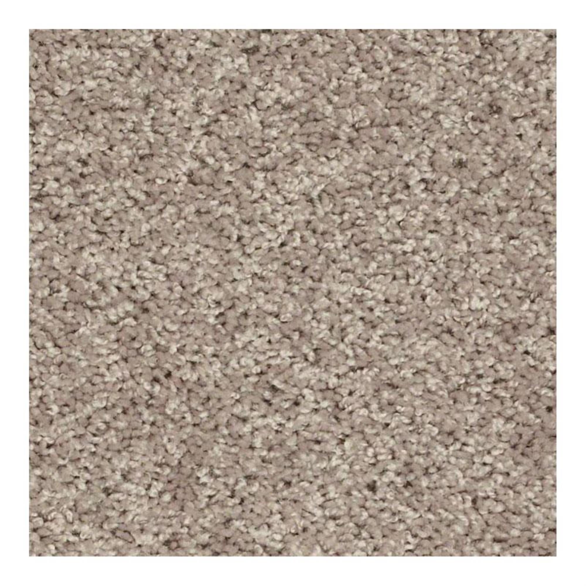 Shaw Go Big Carpet in Glimmer