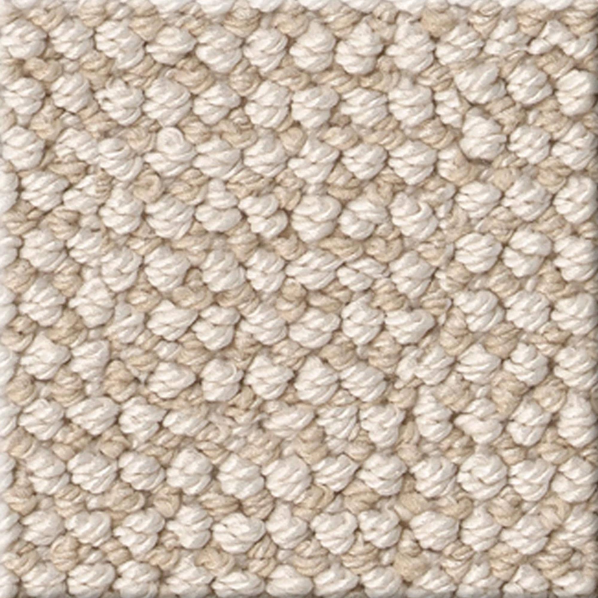 Anderson Tuftex Alluring Carpet in Papyrus