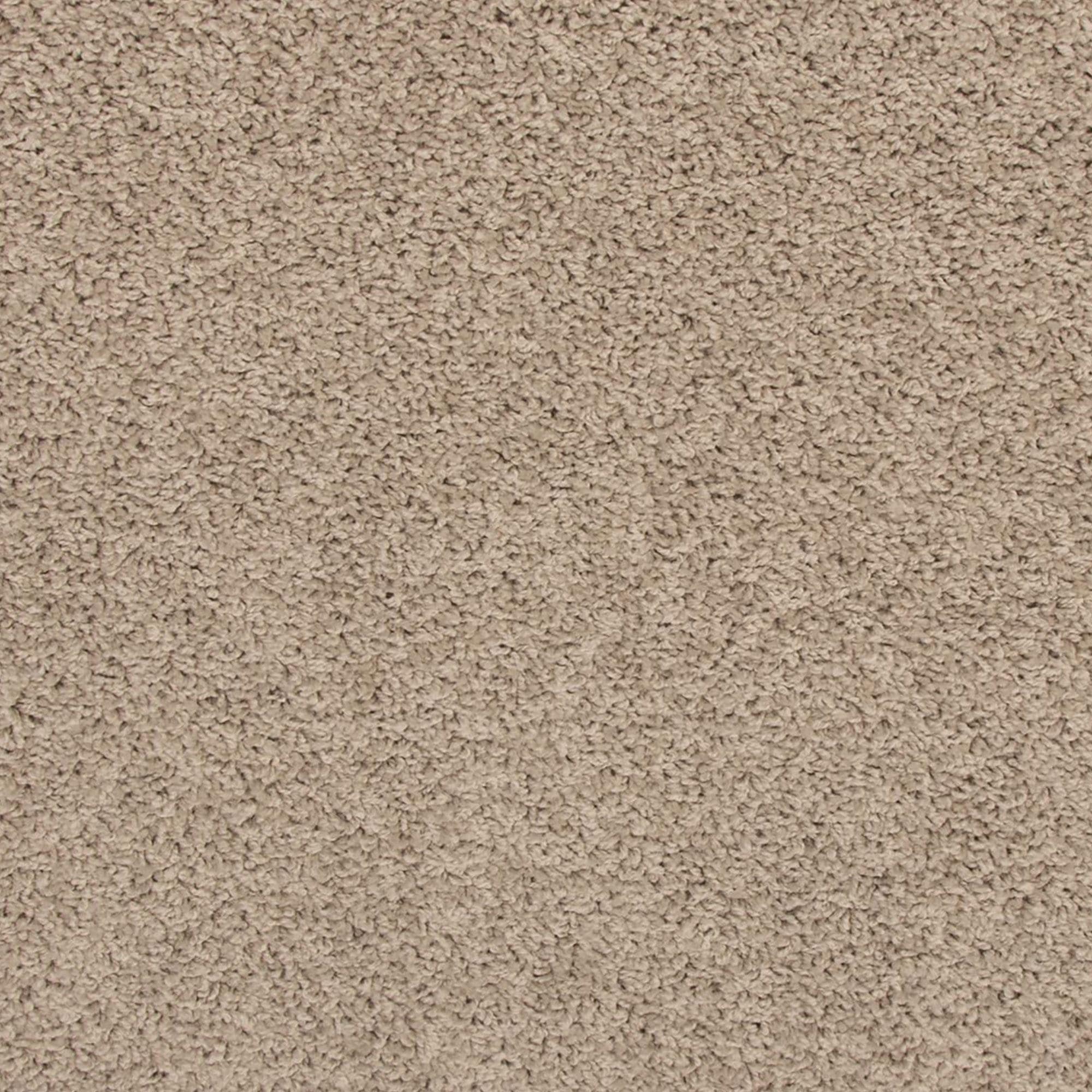 Mohawk Revive Carpet in Birdbath