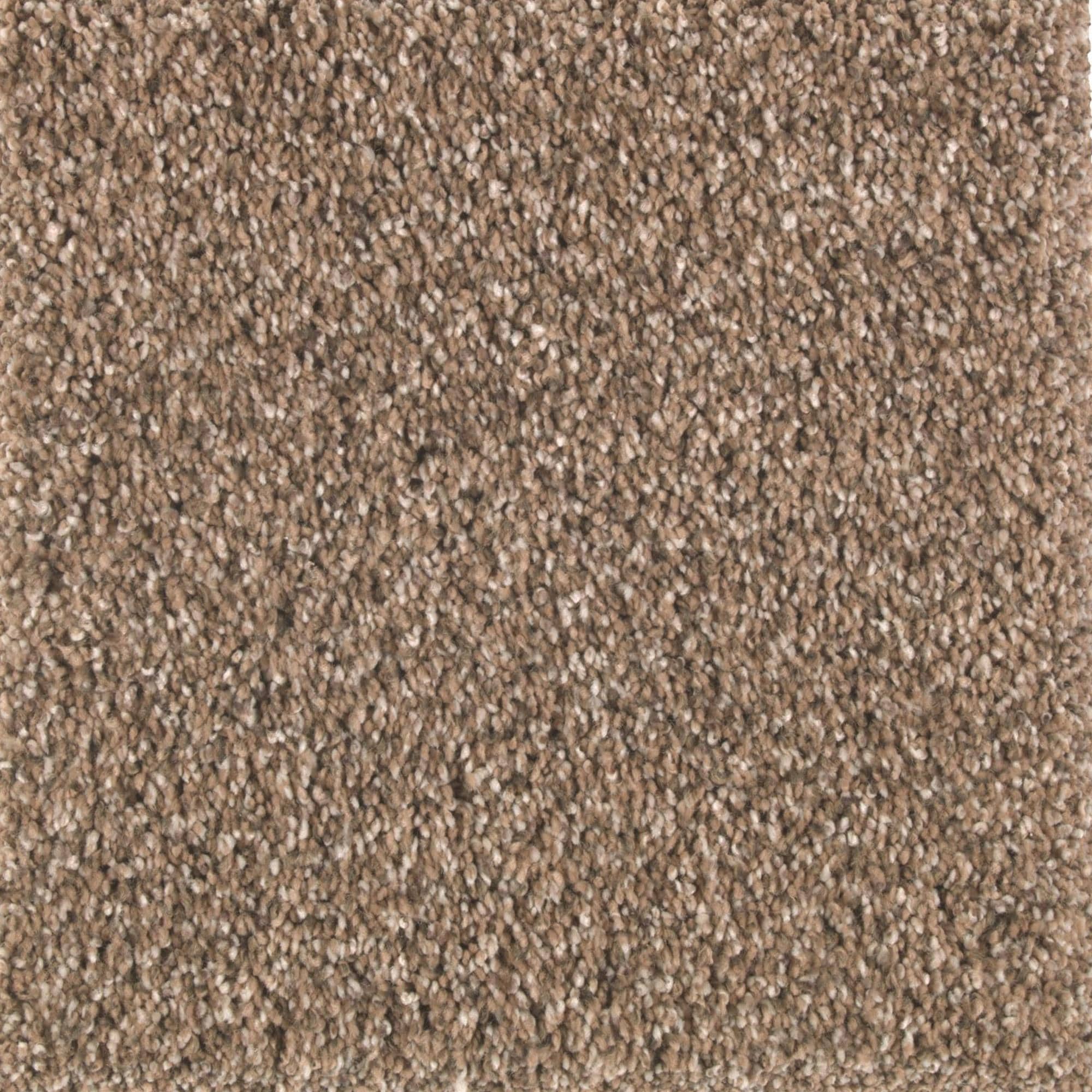 Mohawk Nature's Elegance Carpet in Carpet in Woodland | NFM
