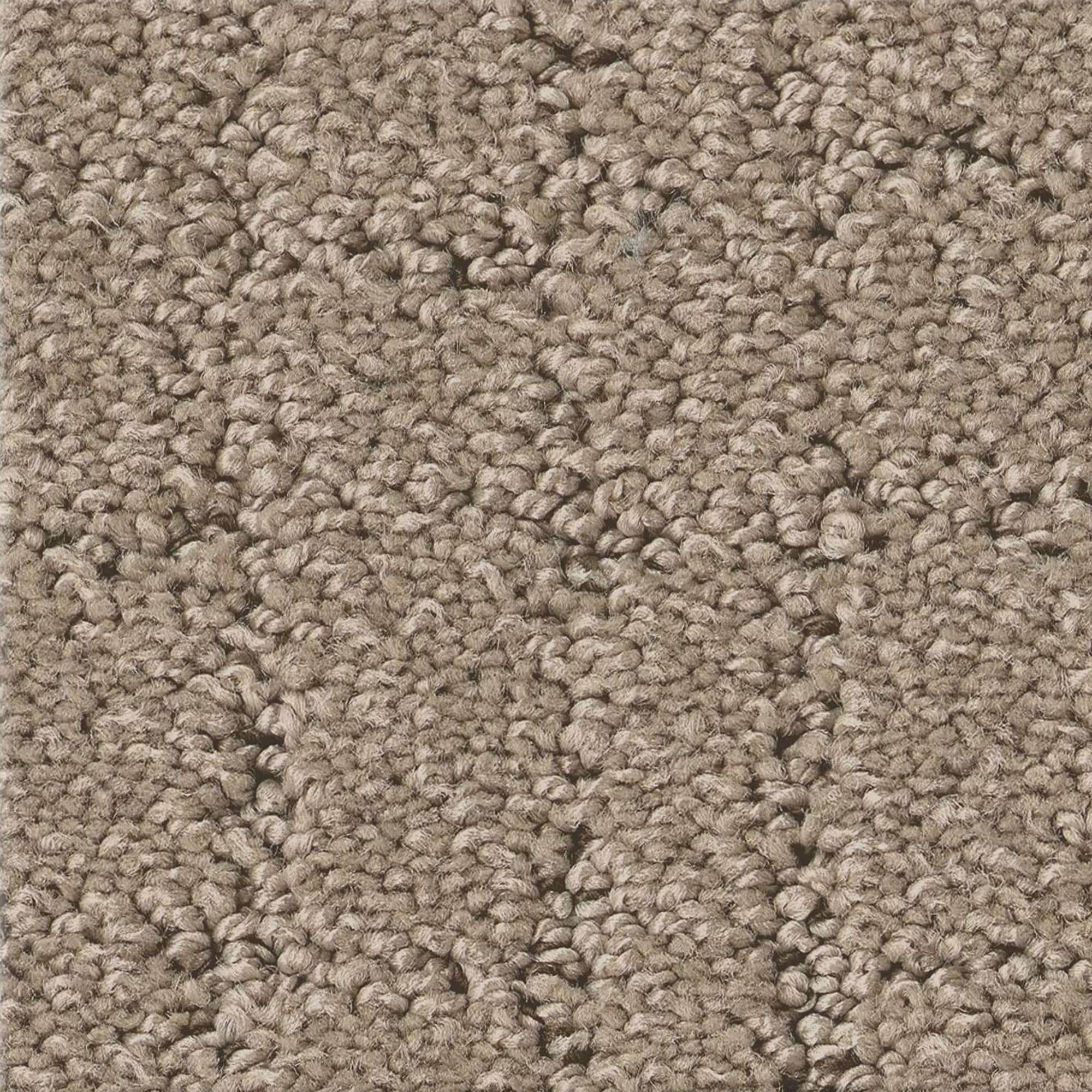 Shaw Block Party Carpet in Cameo