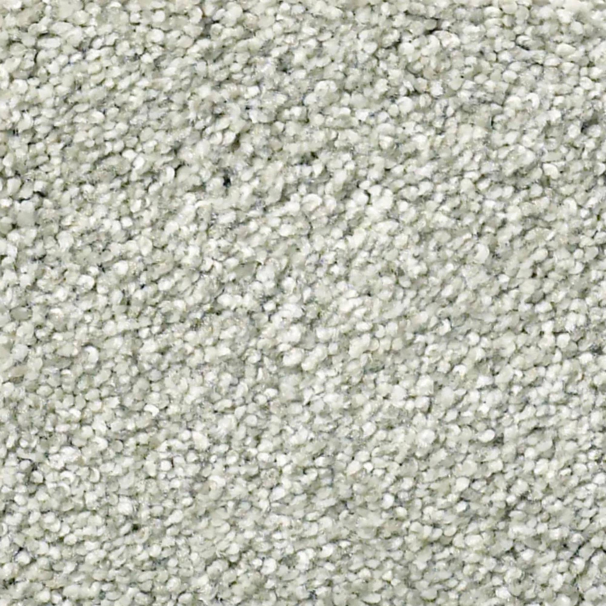 Shaw Tonal Comfort Blue Carpet in Willow Tree