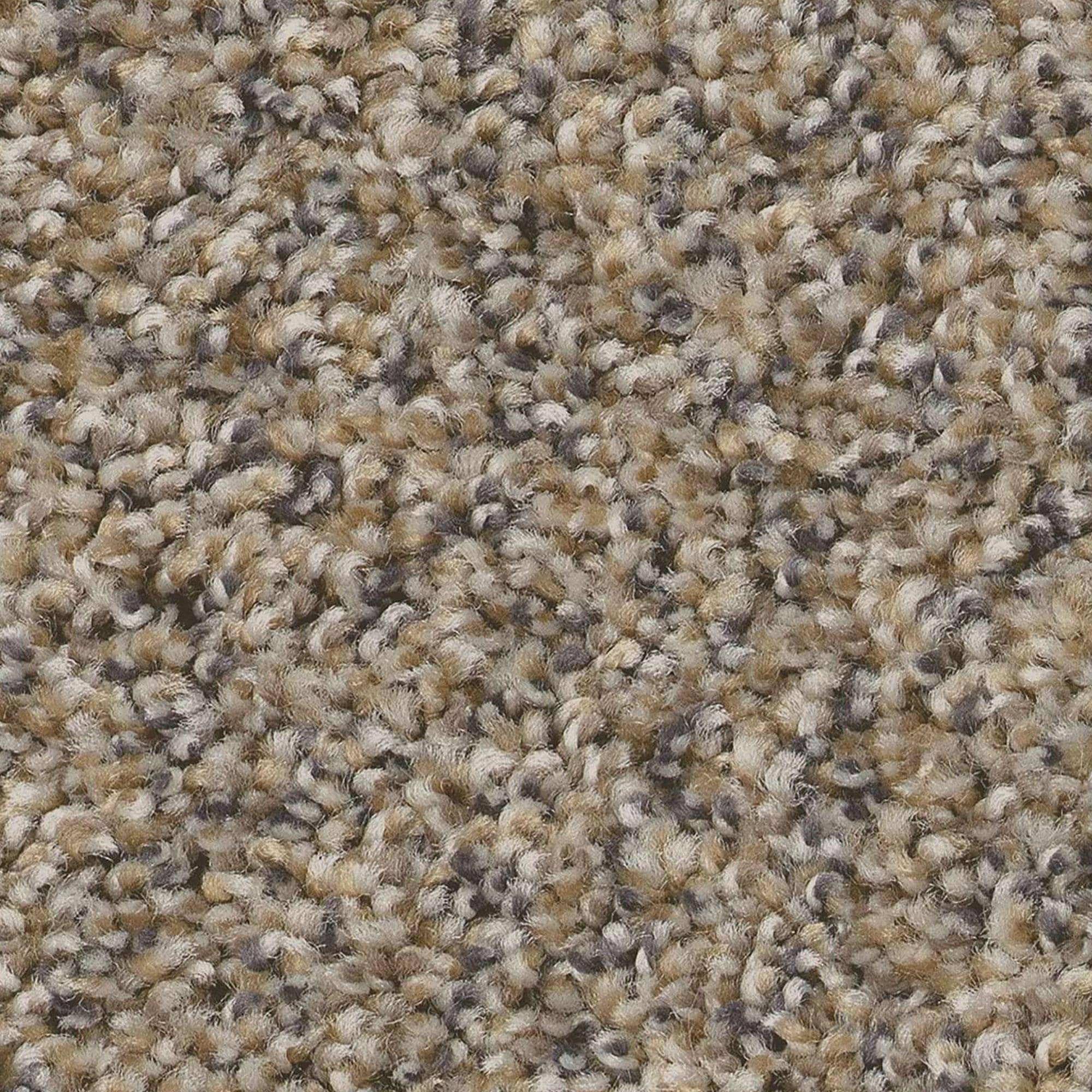 Shaw Always Right II Carpet in Puff Pastry