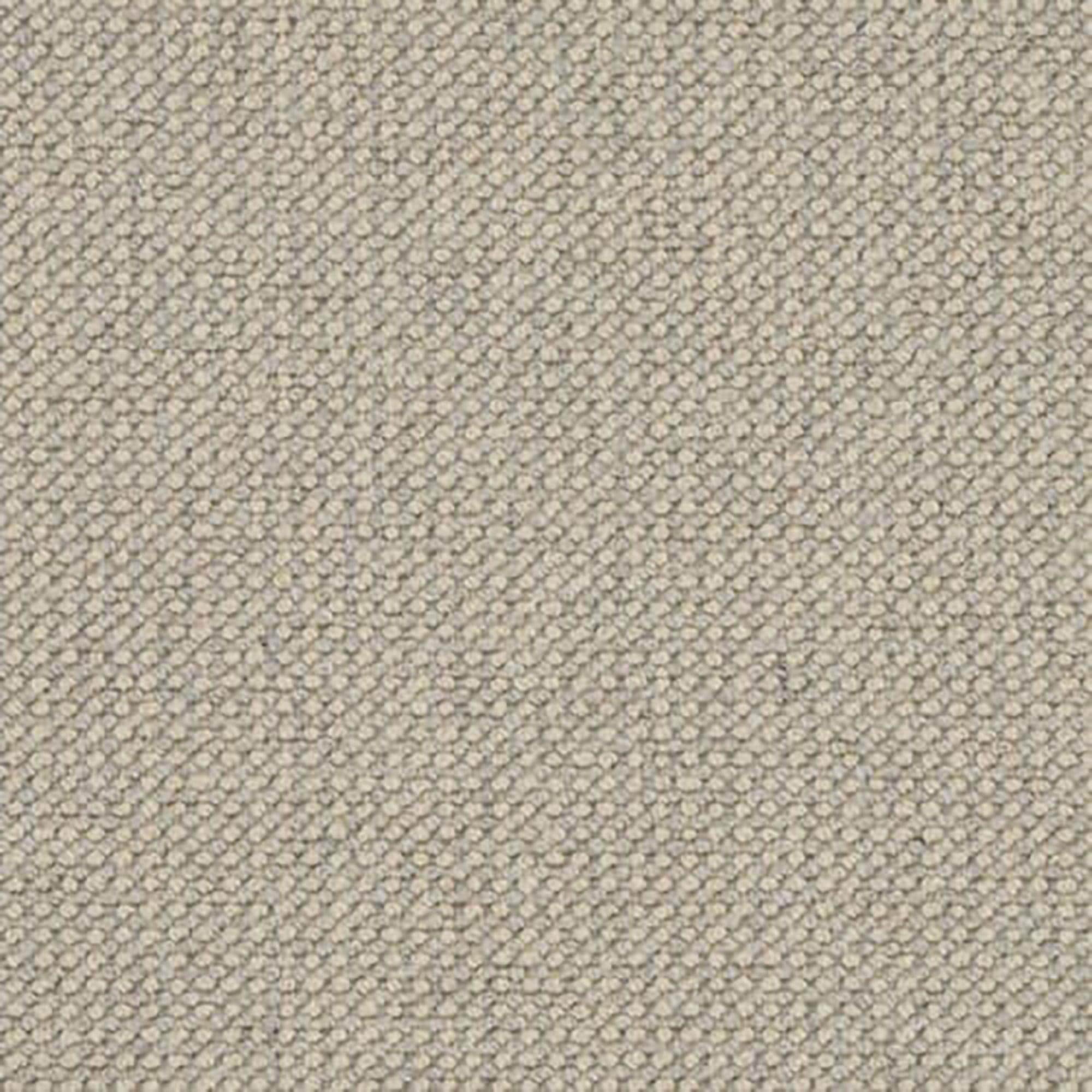 Masland Intention Carpet in Oat