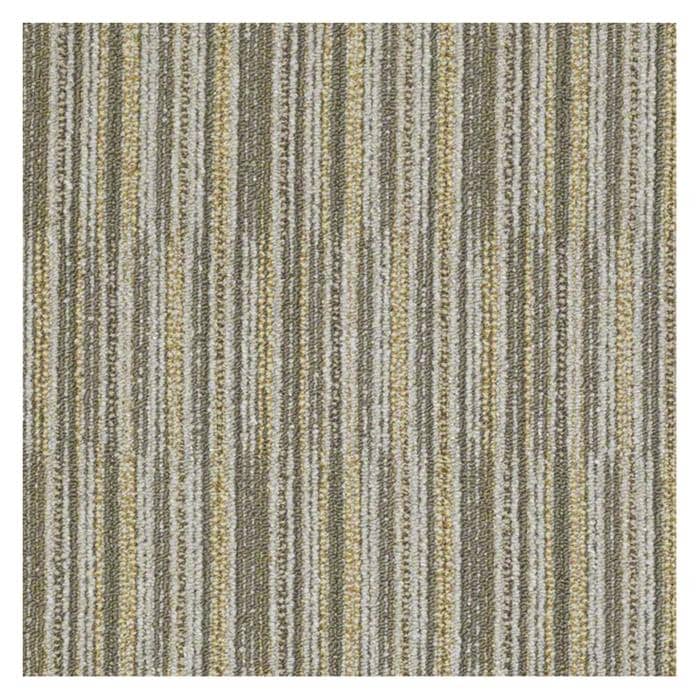 Shaw Cutaway Carpet in Selection