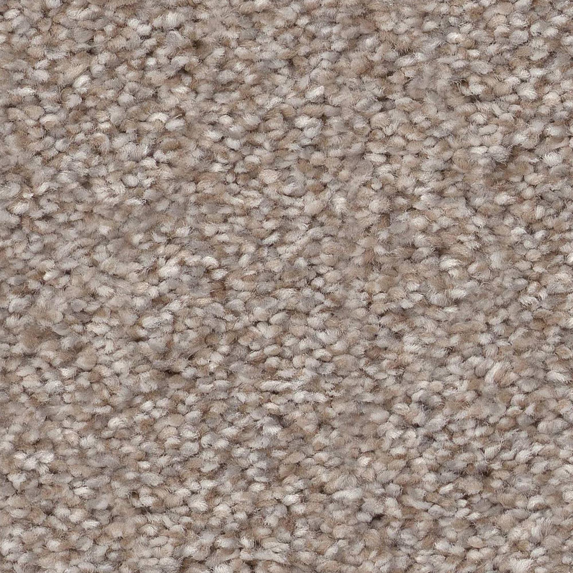 Shaw Truspirit Ii Carpet in Lady Liberty | NFM