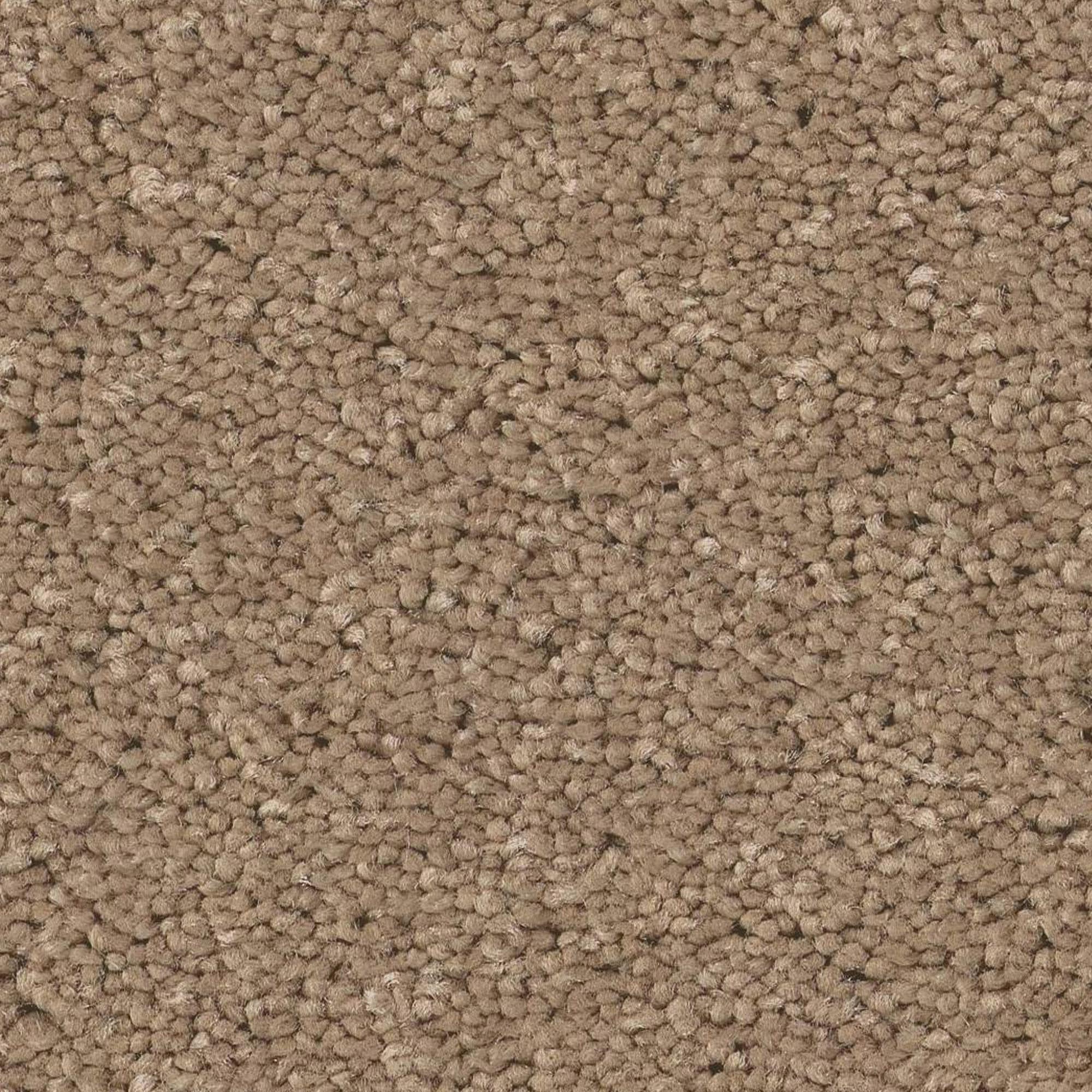 Anderson Tuftex Enduring Charm Carpet in Biscotti