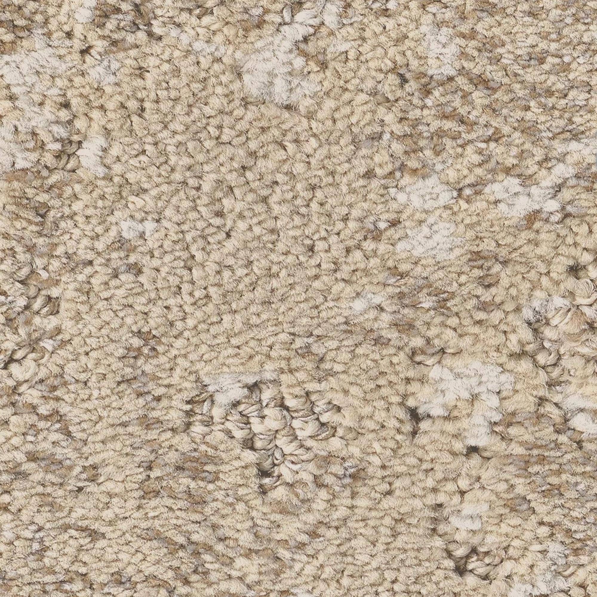 Anderson Tuftex Fancy That Carpet in Pale Almond
