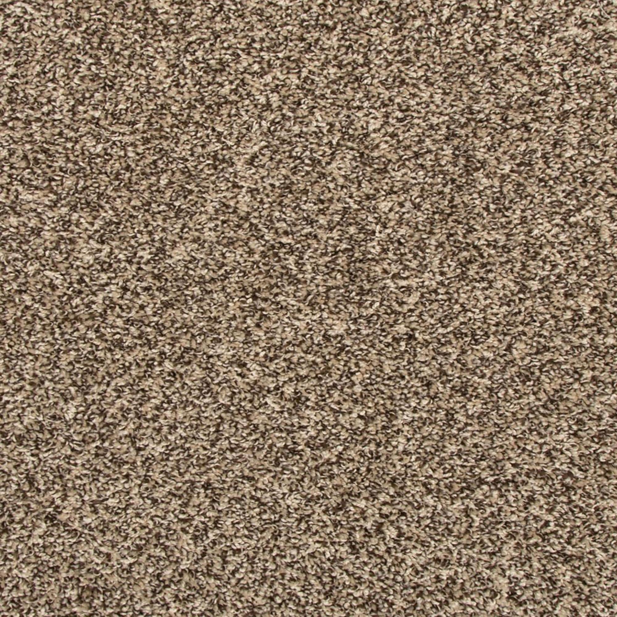 Mohawk Revive Carpet in Nomad