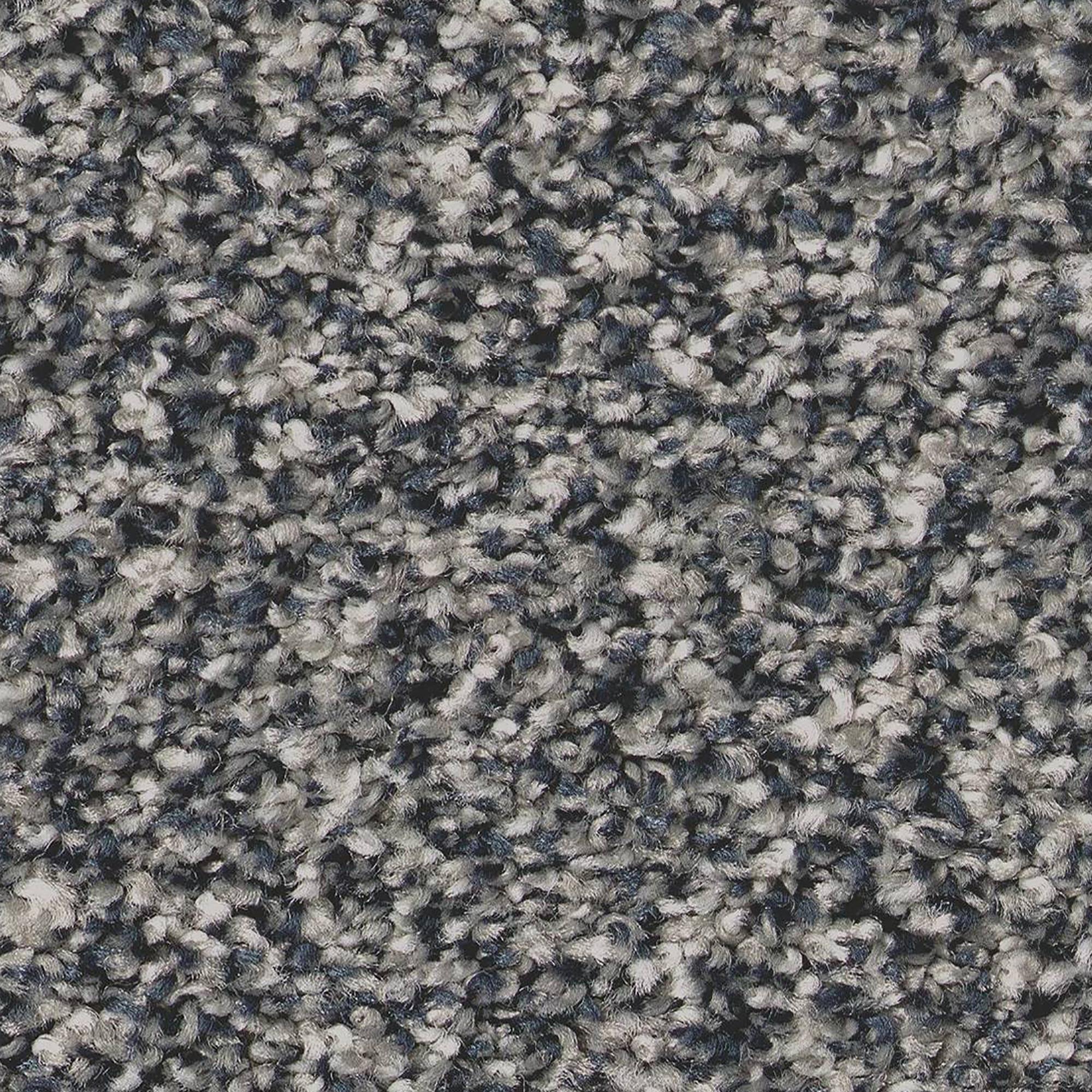 Shaw Tweed Comfort Blue Carpet in Carolina