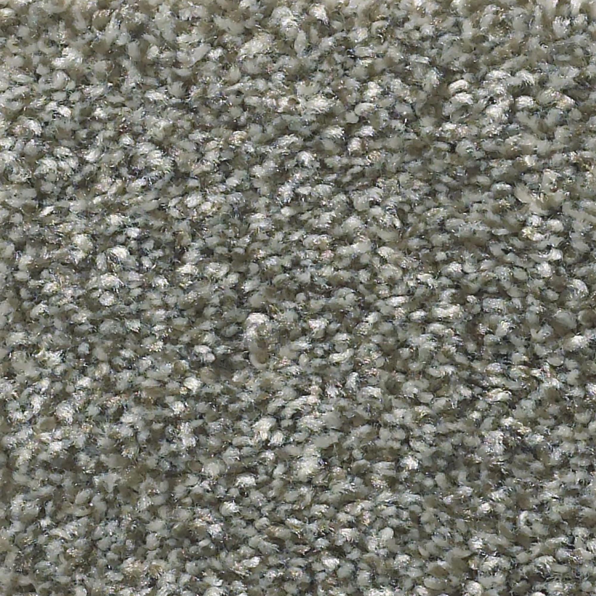 Shaw Simply the Best Attainable Carpet in Cedar Ridge