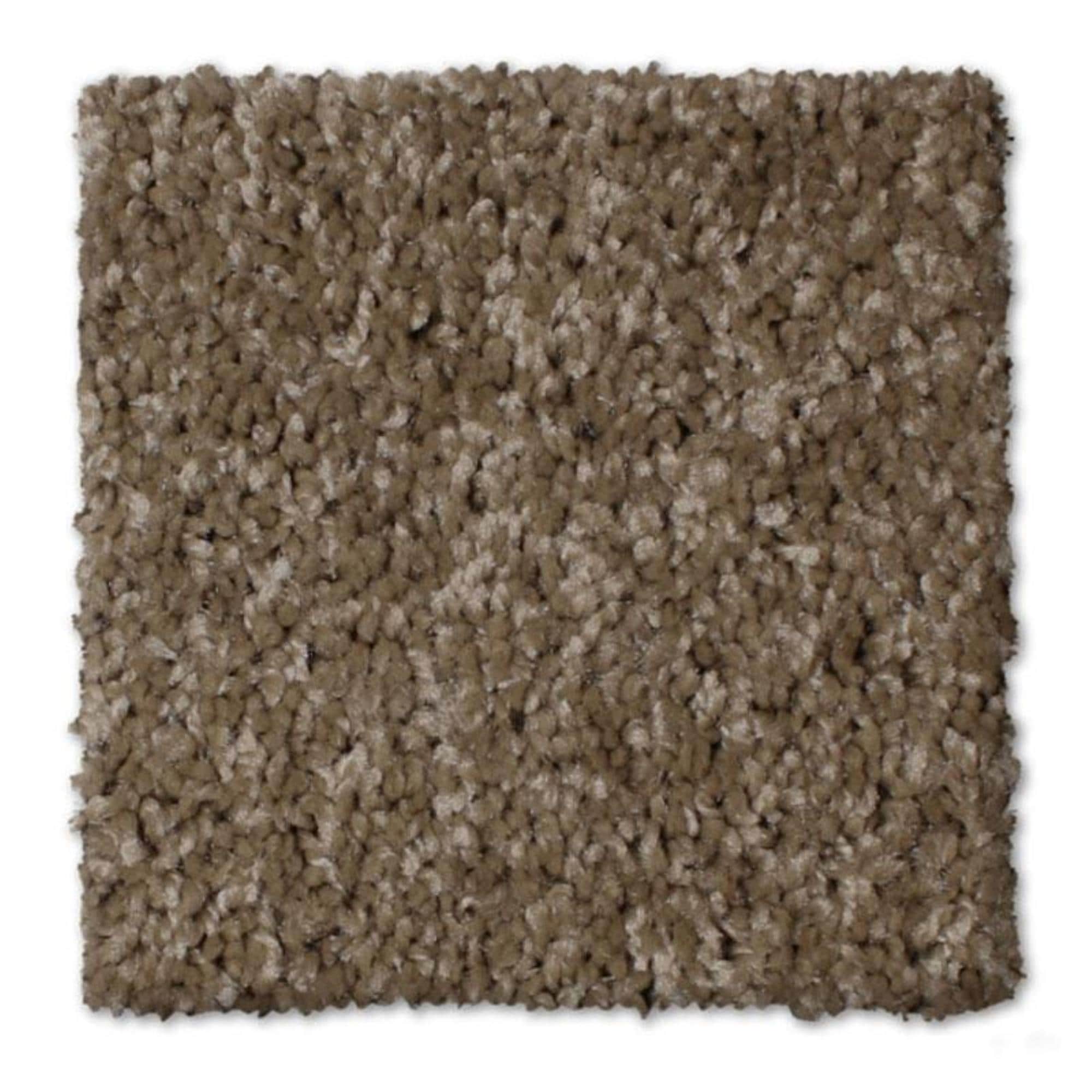 Phenix Daybreak Carpet in Neutron