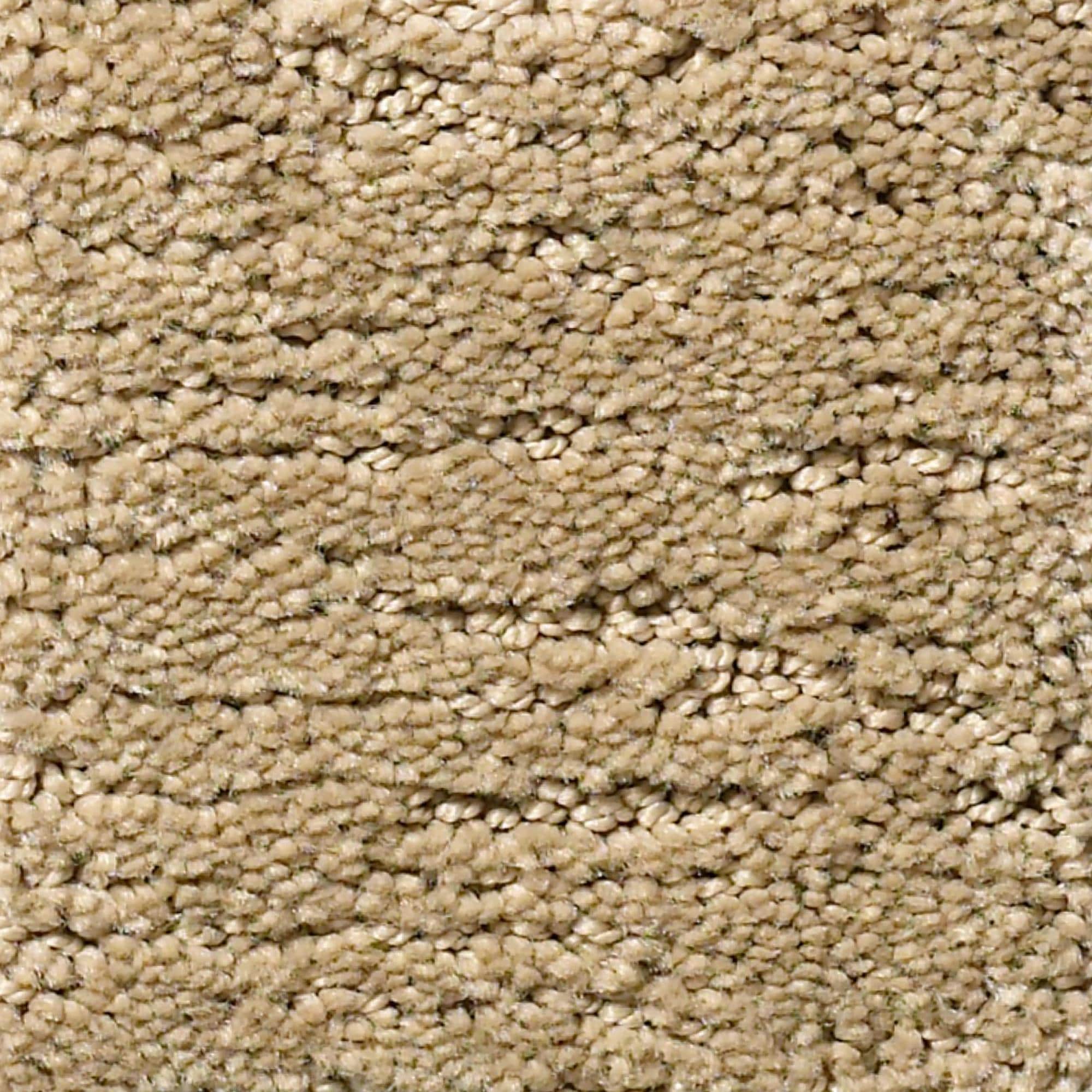 Anderson Tuftex Contour Carpet in Folklore