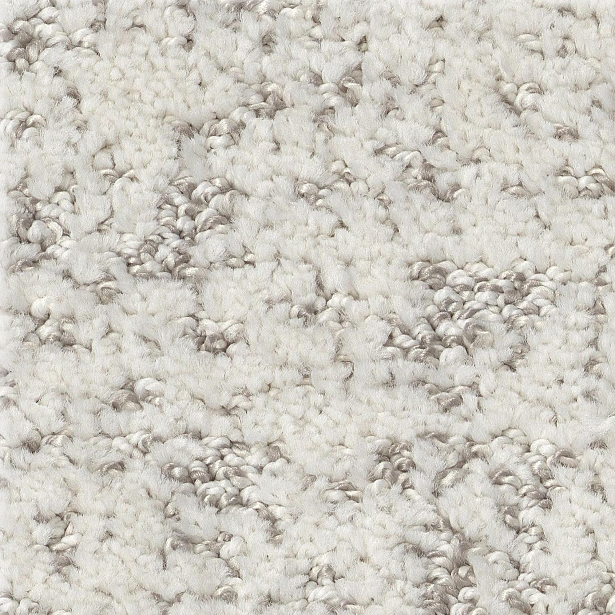 Shaw Home Within Carpet in Snowfall
