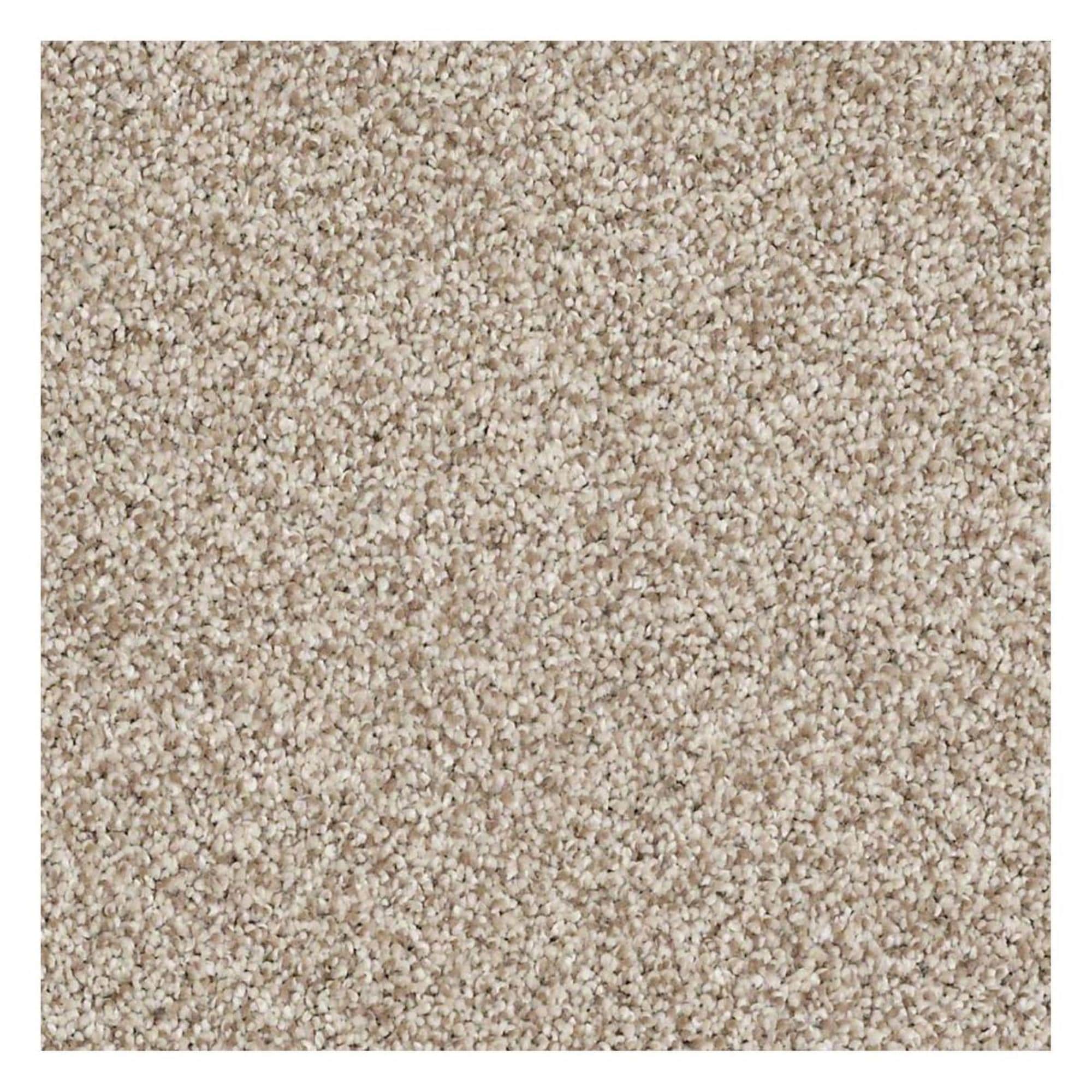 Shaw Detailed Tonal Carpet in Latte