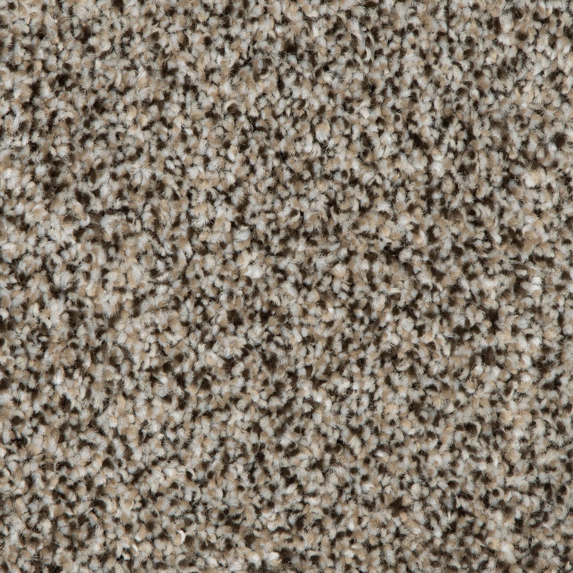 Mohawk Refreshing Shades Carpet in Salutation