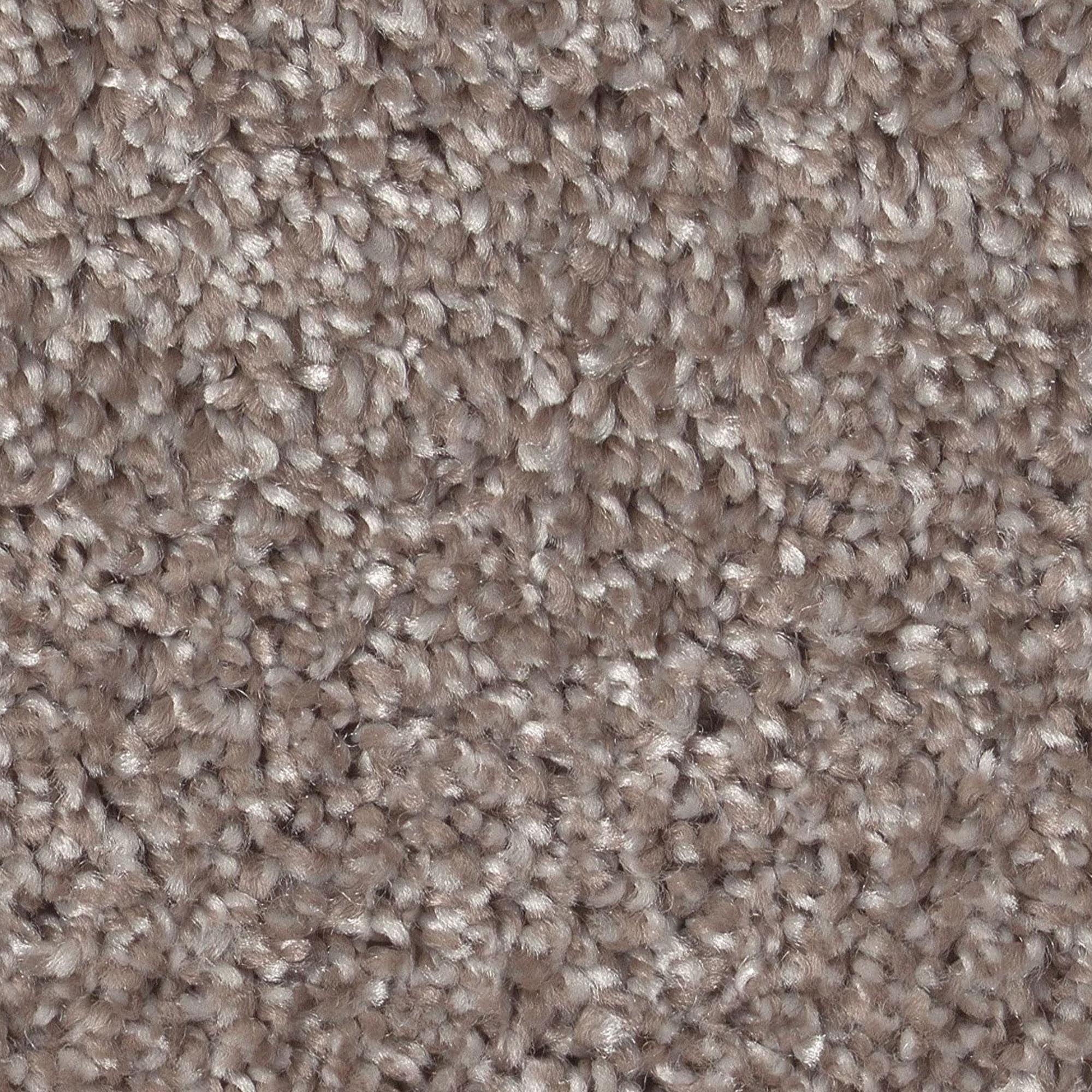 Shaw Agility Carpet in Owl
