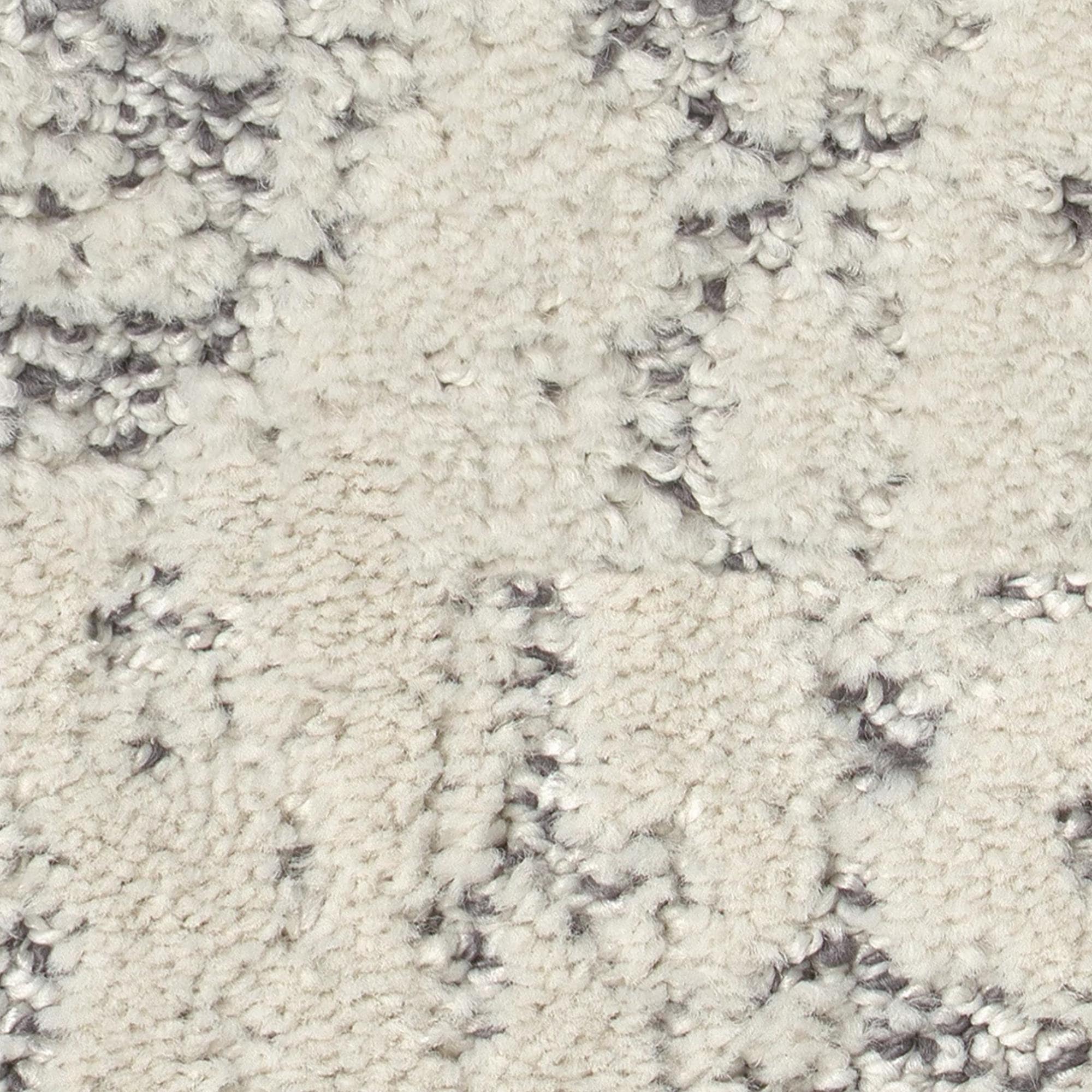 Shaw Calm Expression Carpet in Soft Focus