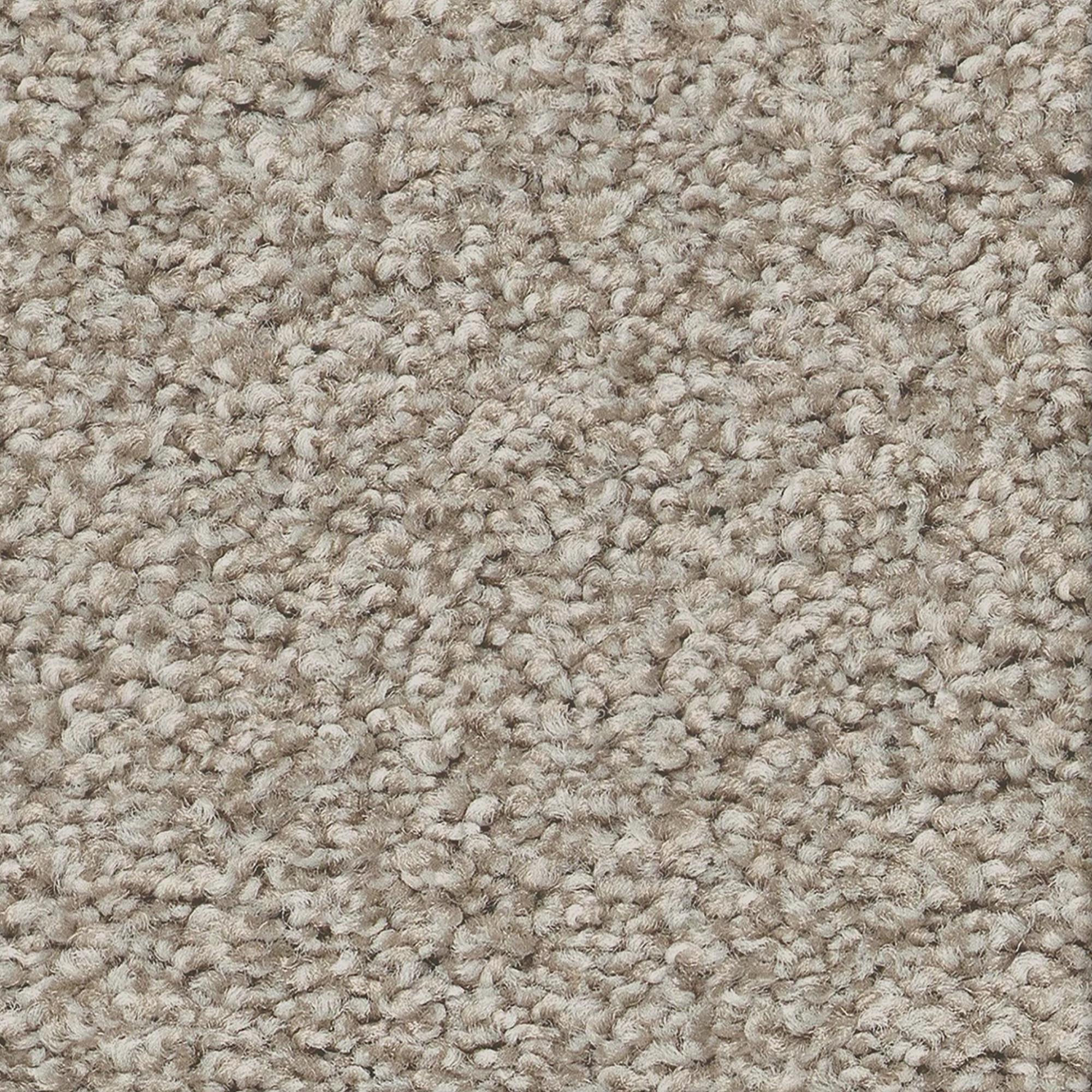 Shaw Del Rio I Carpet in Baltic Stone