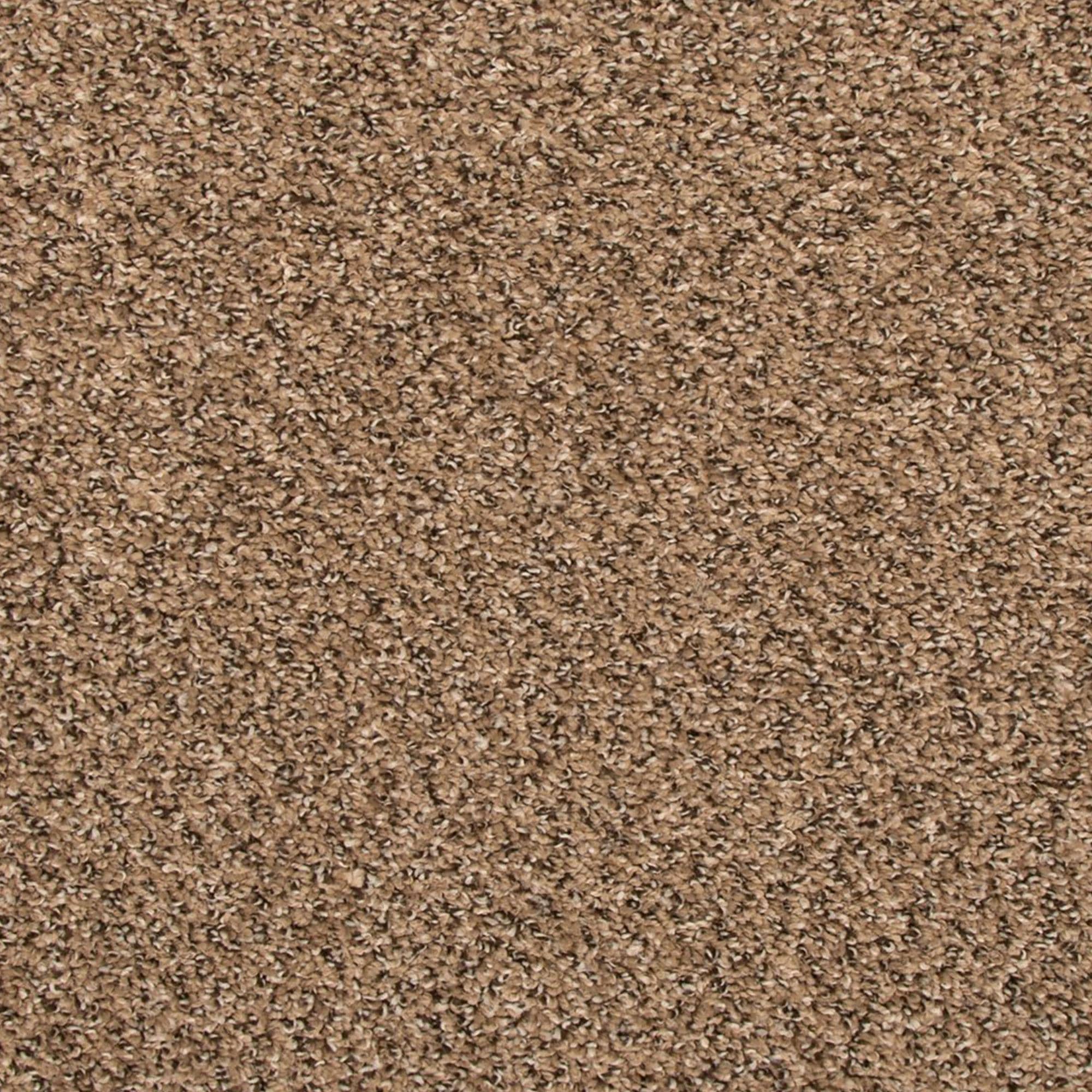 Mohawk Revive Carpet in Pretzel Twist