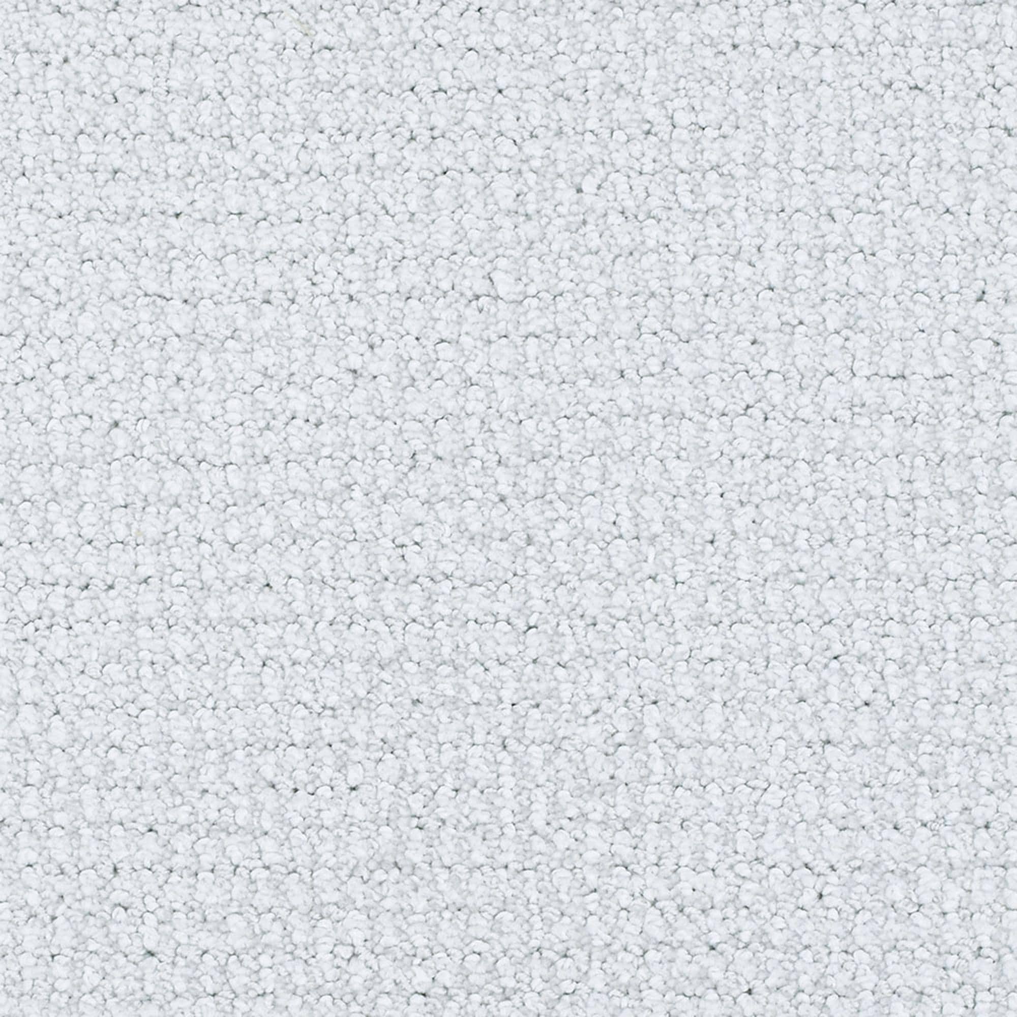 Fabrica Waterford Carpet in Engravings | NFM