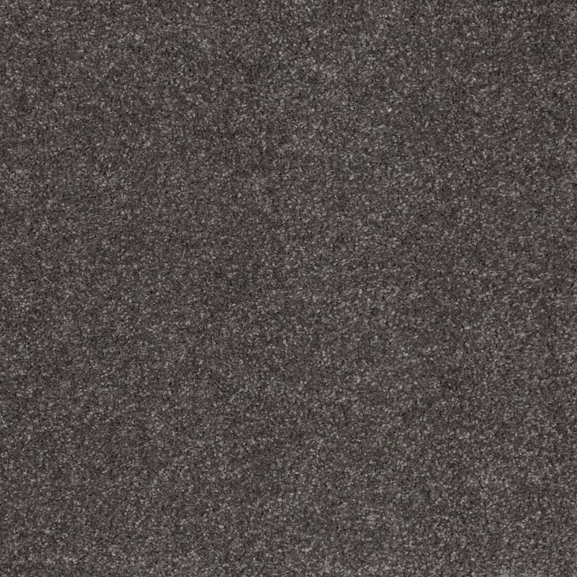 Karastan Sensational Allure Carpet in Boardwalk